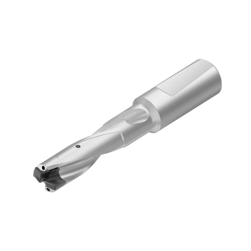 Modulare Bohrer - Modulares Bohren • Whistle Notch™ Schaft (WN)