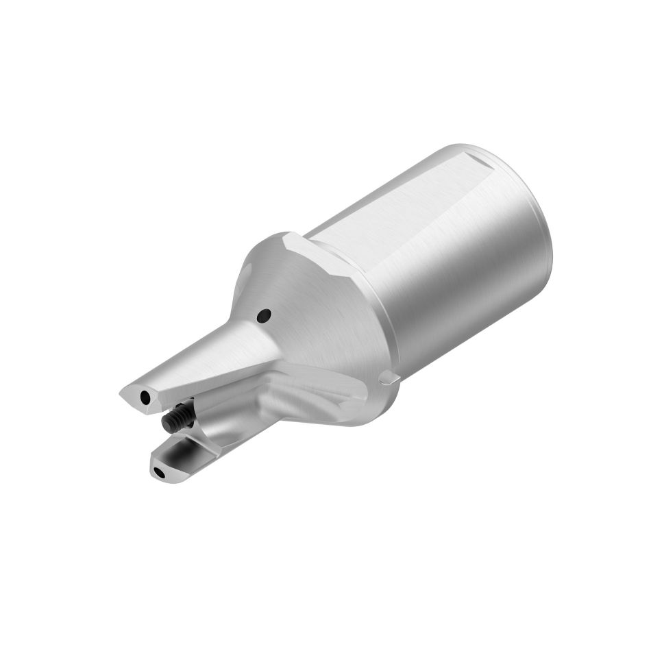Modulare Bohrer - Modulares Bohren • Flanschschaft mit Whistle Notch™ (WD)