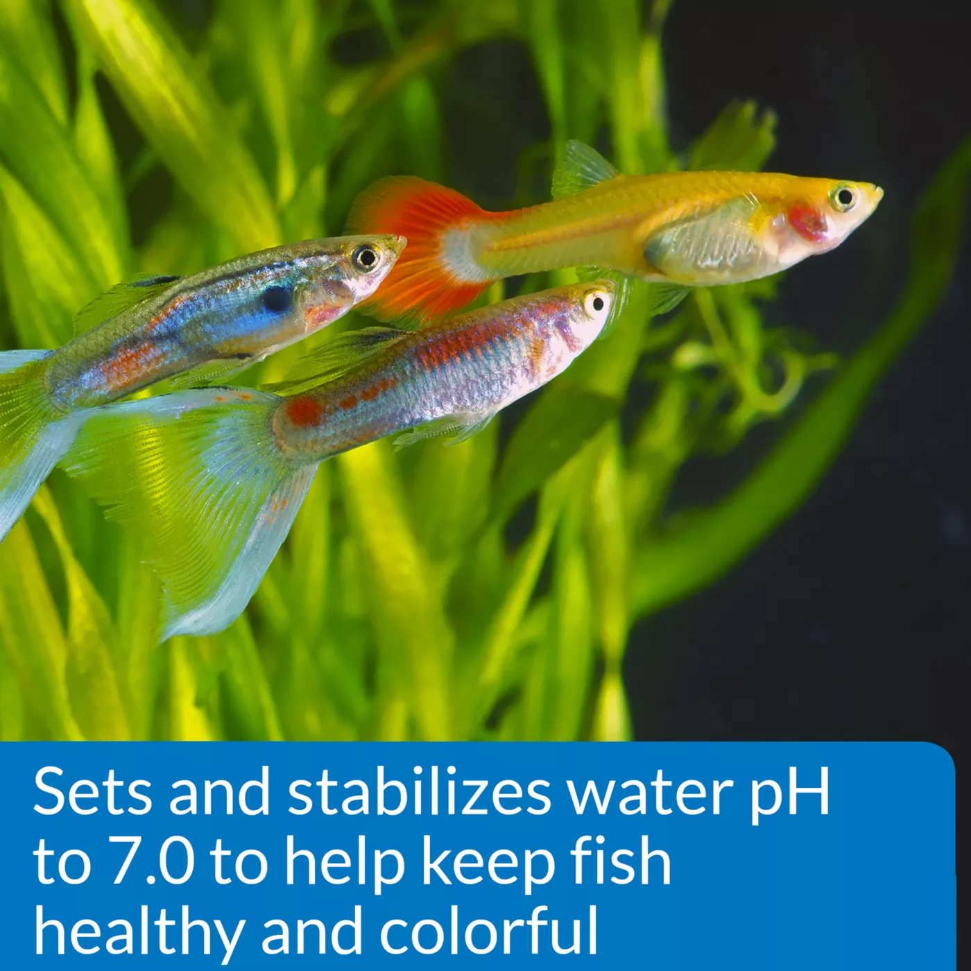 API® Proper pH 7.0 Aquarium Water pH Conditioner