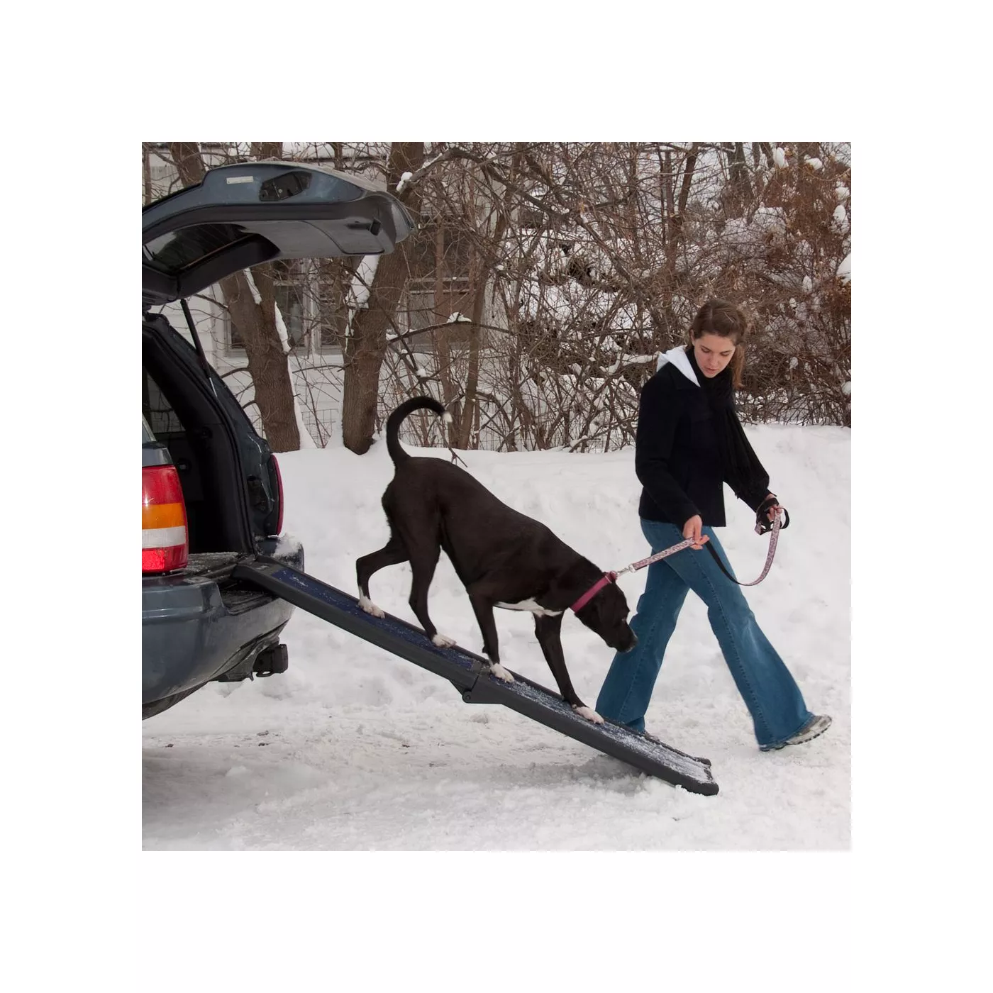 Pet Gear Travel Lite Pet Ramp