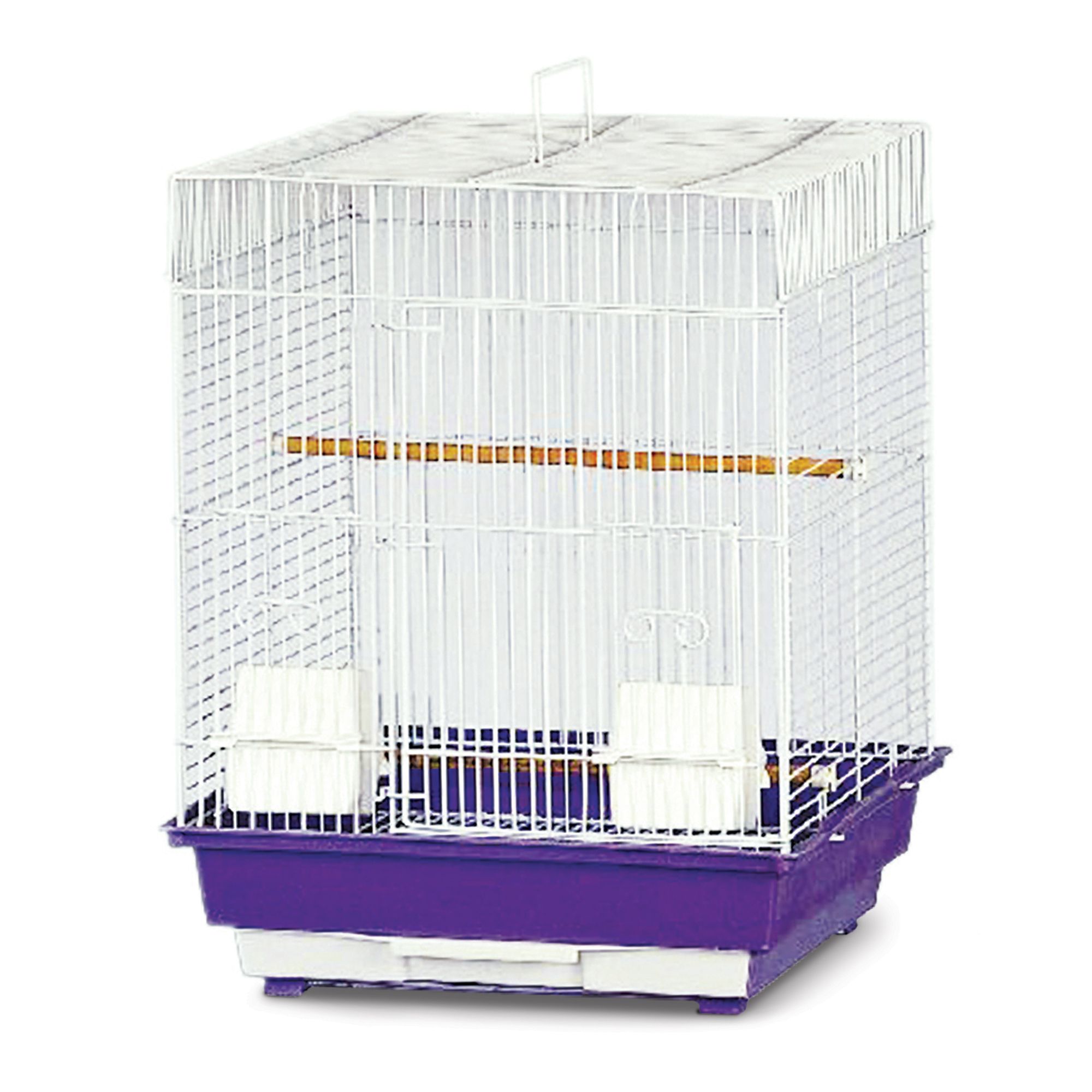 Parakeet Care Sheet & Supplies | PetSmart