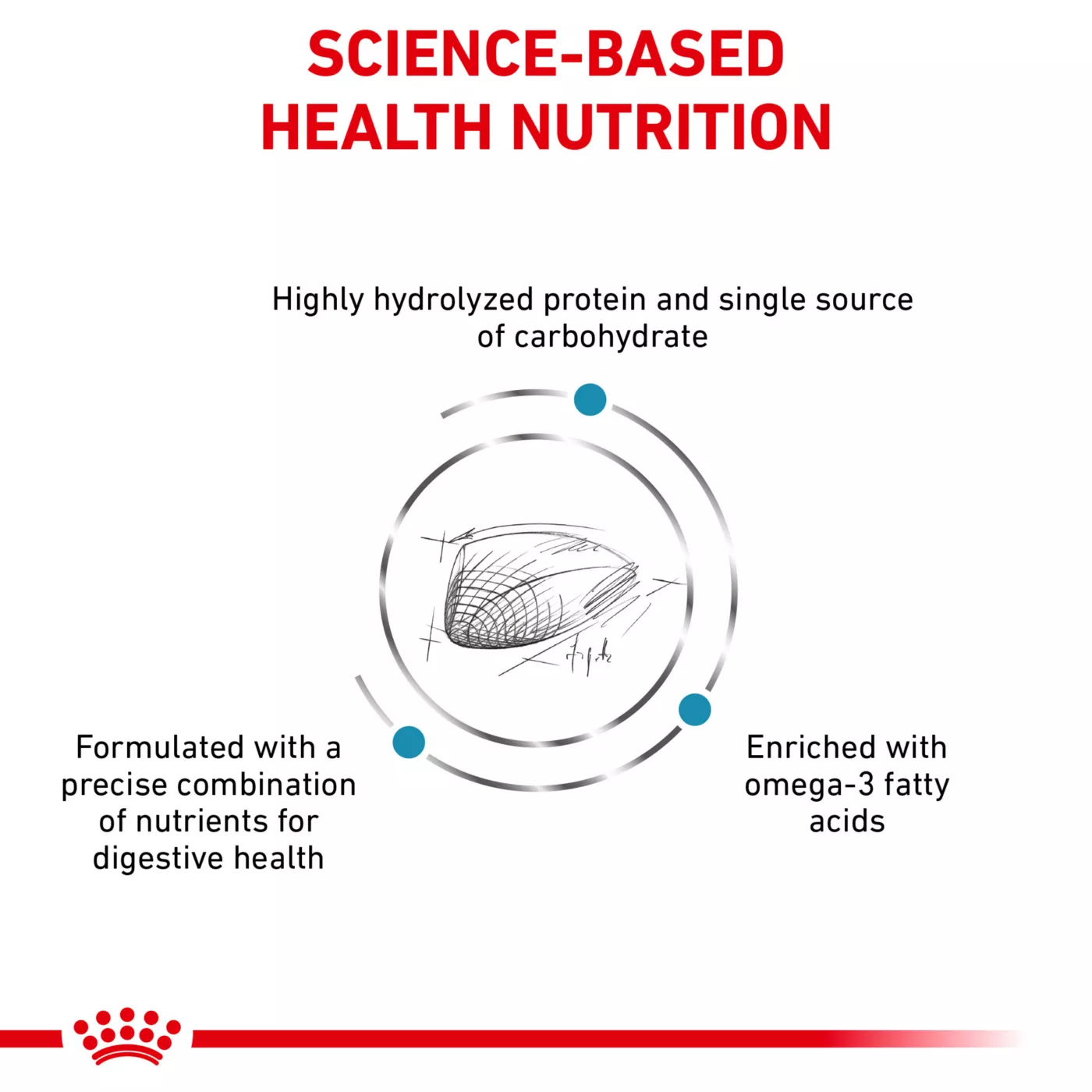 Royal Canin® Veterinary Diet Feline Hydrolyzed Protein HP Adult Dry Cat Food