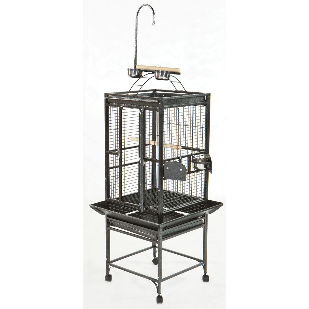 A&E Cage Company Play Top Bird Cage