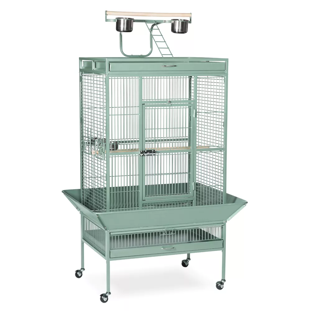 Bird Cages - Large & Small Bird Cages | PetSmart