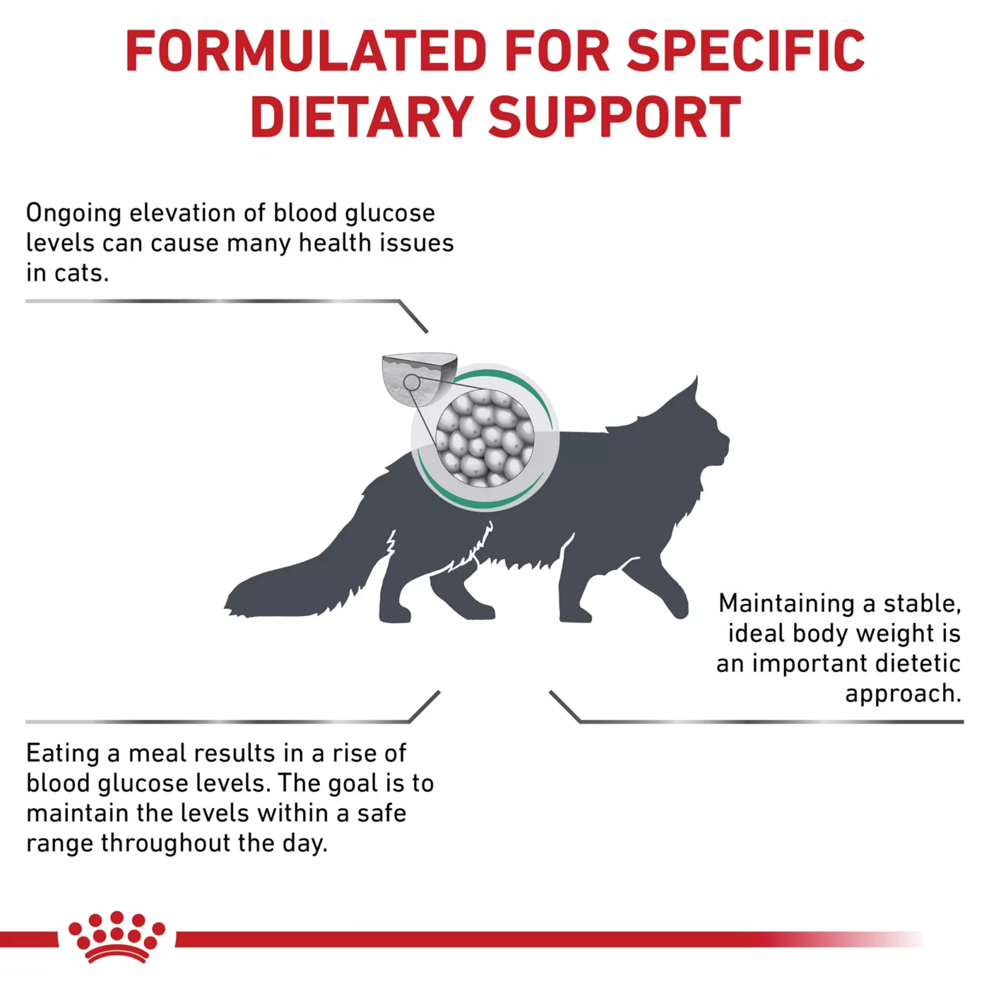 Royal Canin® Veterinary Diet Feline Glycobalance Adult Dry Cat Food