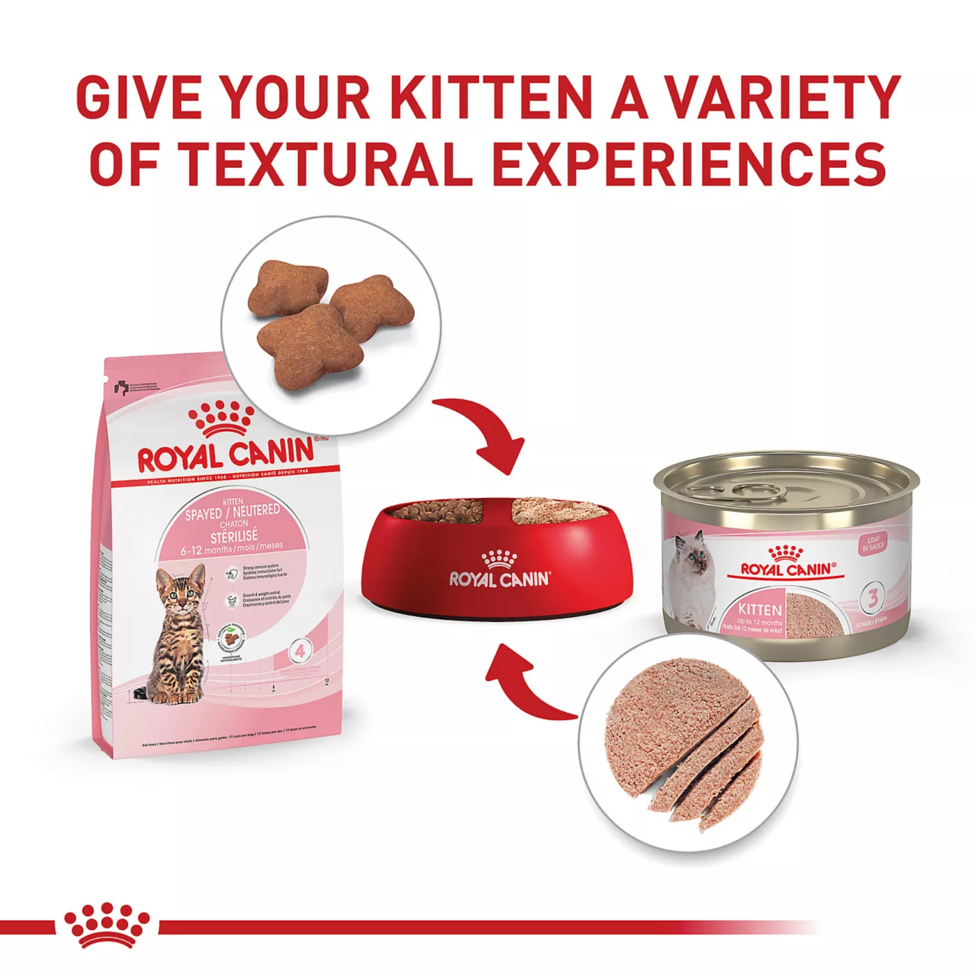 Royal Canin® Feline Health Nutrition Spayed Neutered Kitten Dry Cat Food