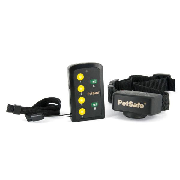 Remote Training: eCollars, Trackers & Trainers | PetSmart