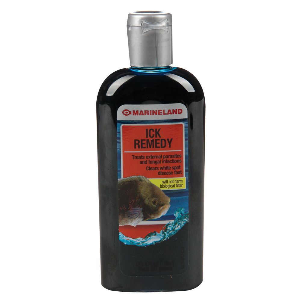 Fish Disease Treatment: Ick, Fin Rot & Fungus | PetSmart
