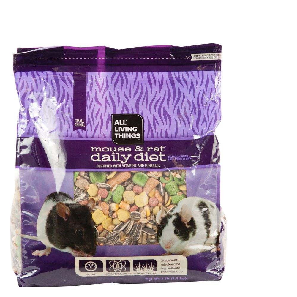 Fancy Mouse Care Sheet & Supplies | PetSmart