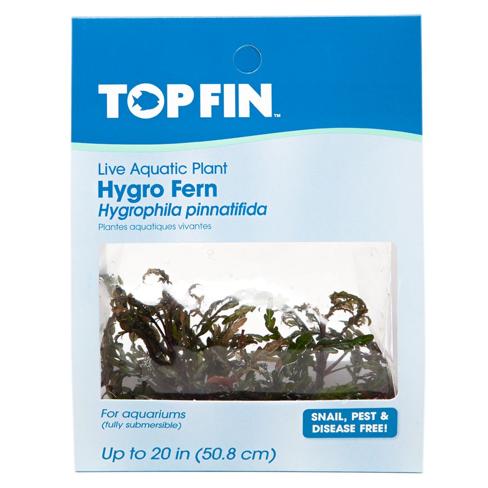 Live Aquarium Plants: Fish Tank Aquatic Plants | PetSmart