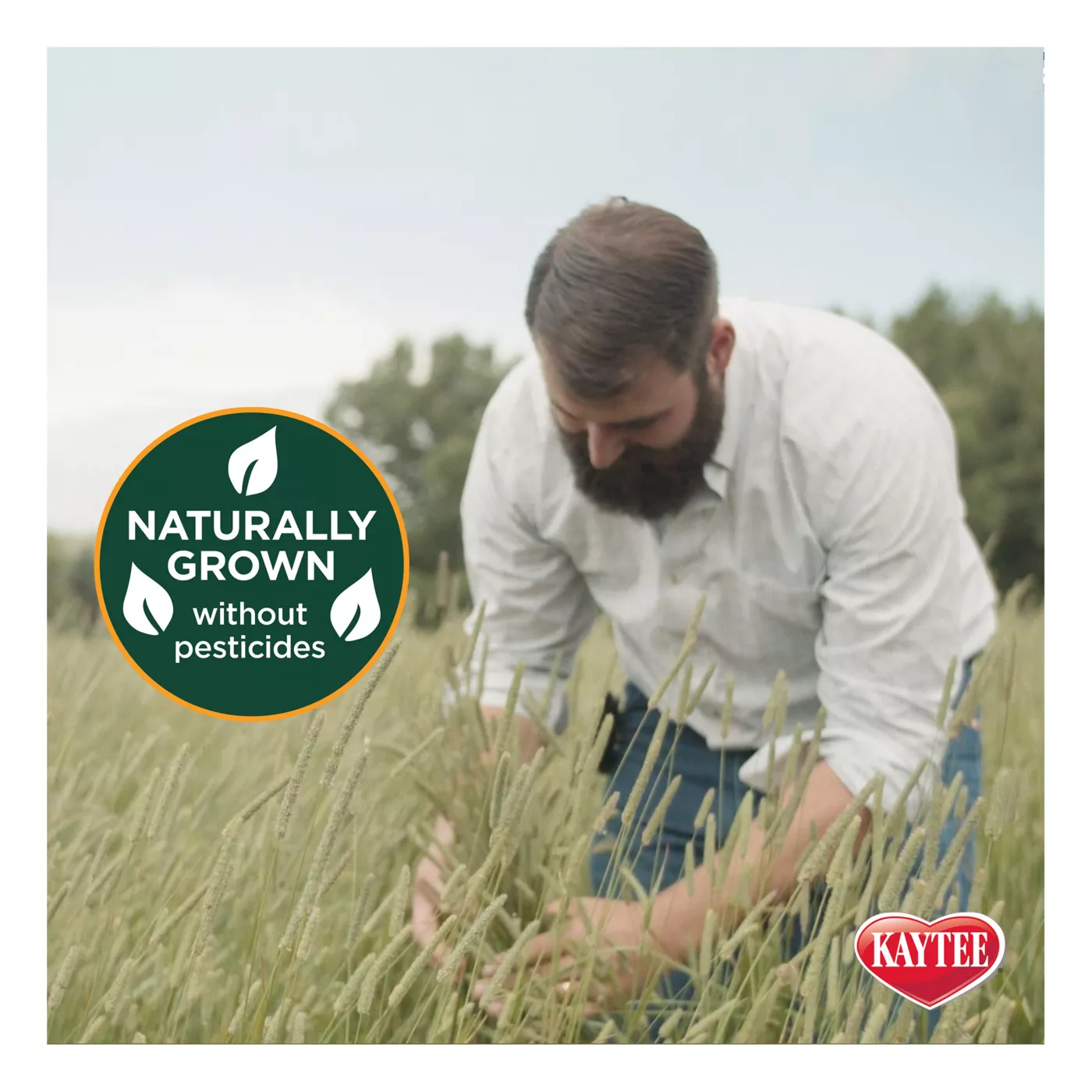 KAYTEE® All Natural Timothy Hay