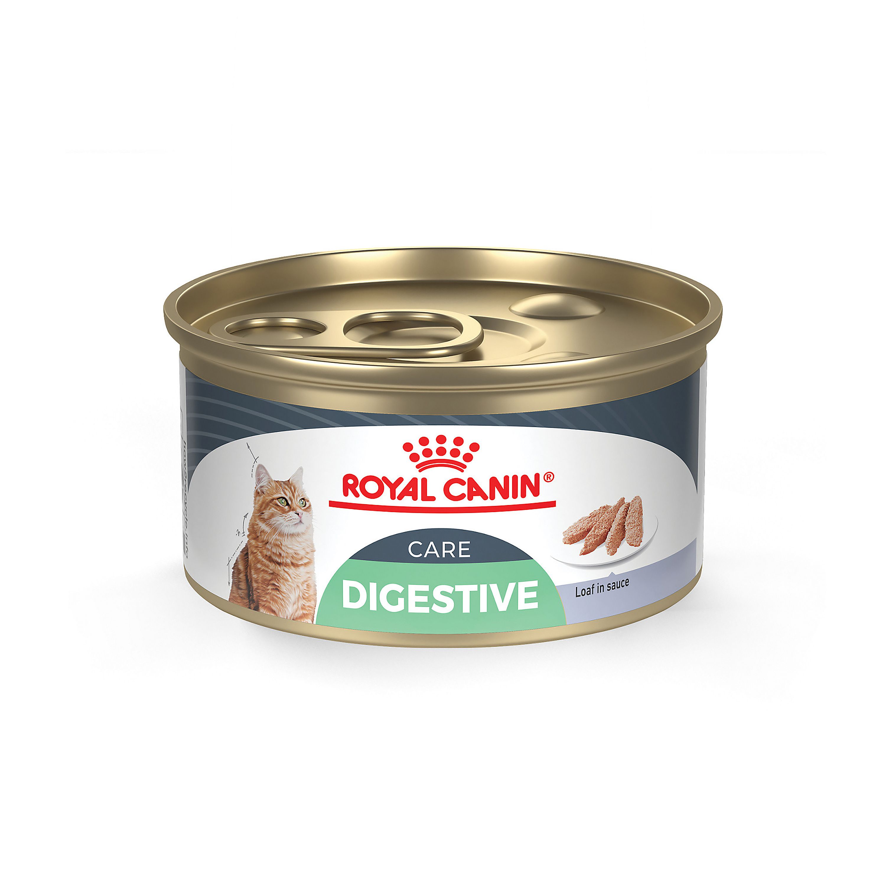 Royal Canin Feline Care Nutrition Digest Sensitive Loaf In Sauce Canned 