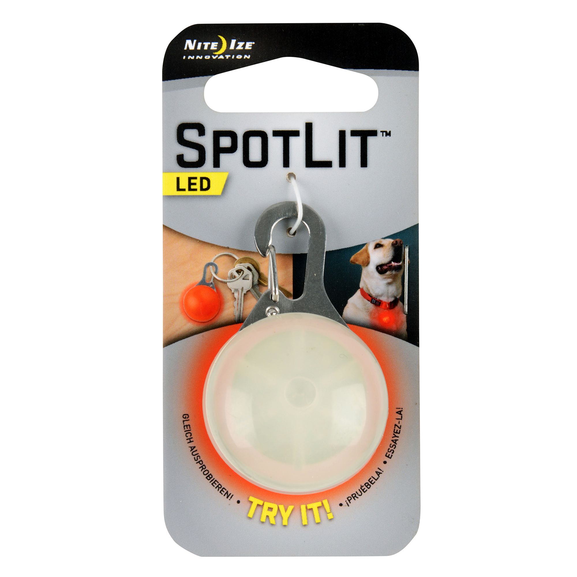 Dog ID Tags: Personalized Dog Tags | PetSmart