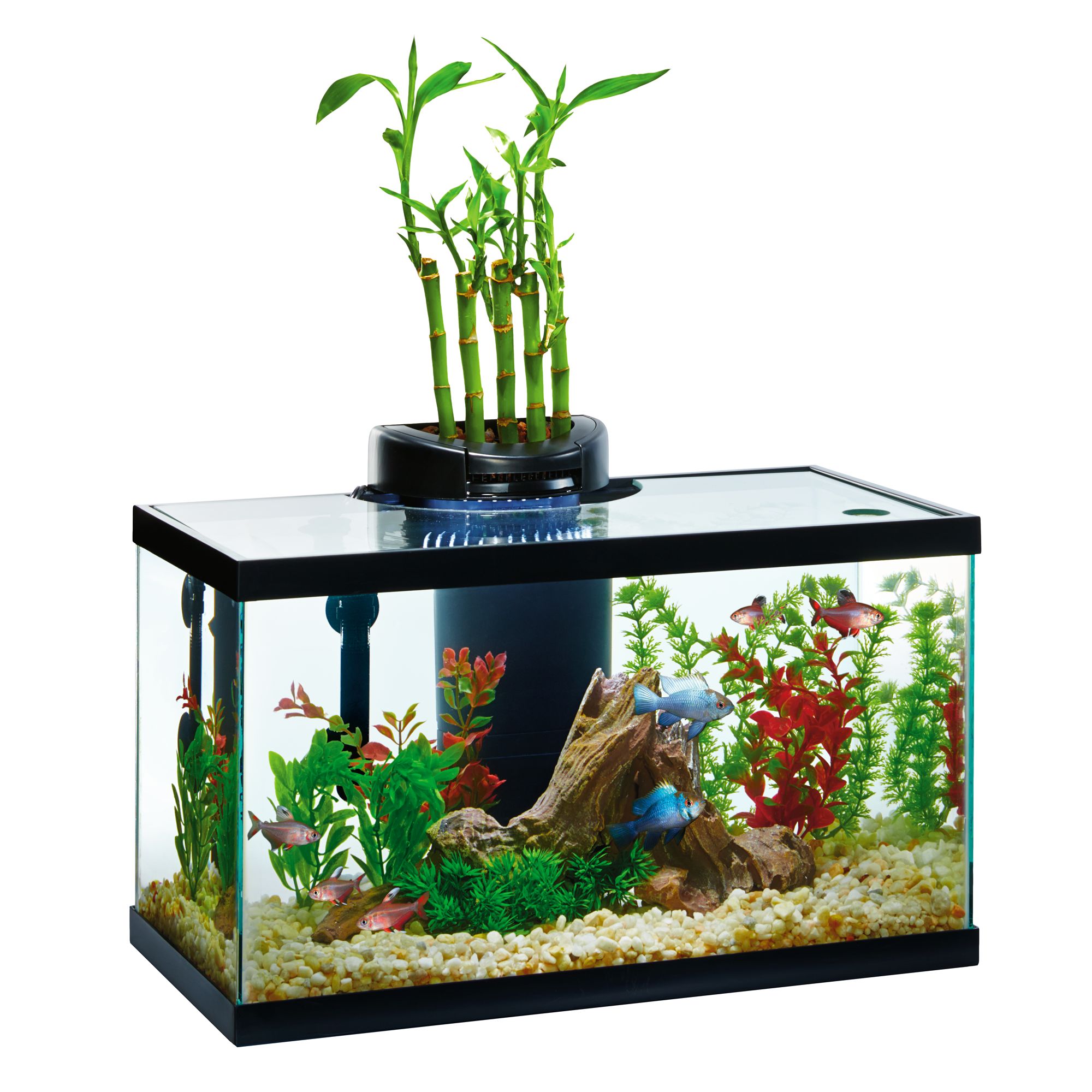 Fish Supplies: Products & Accessories for Fish | PetSmart