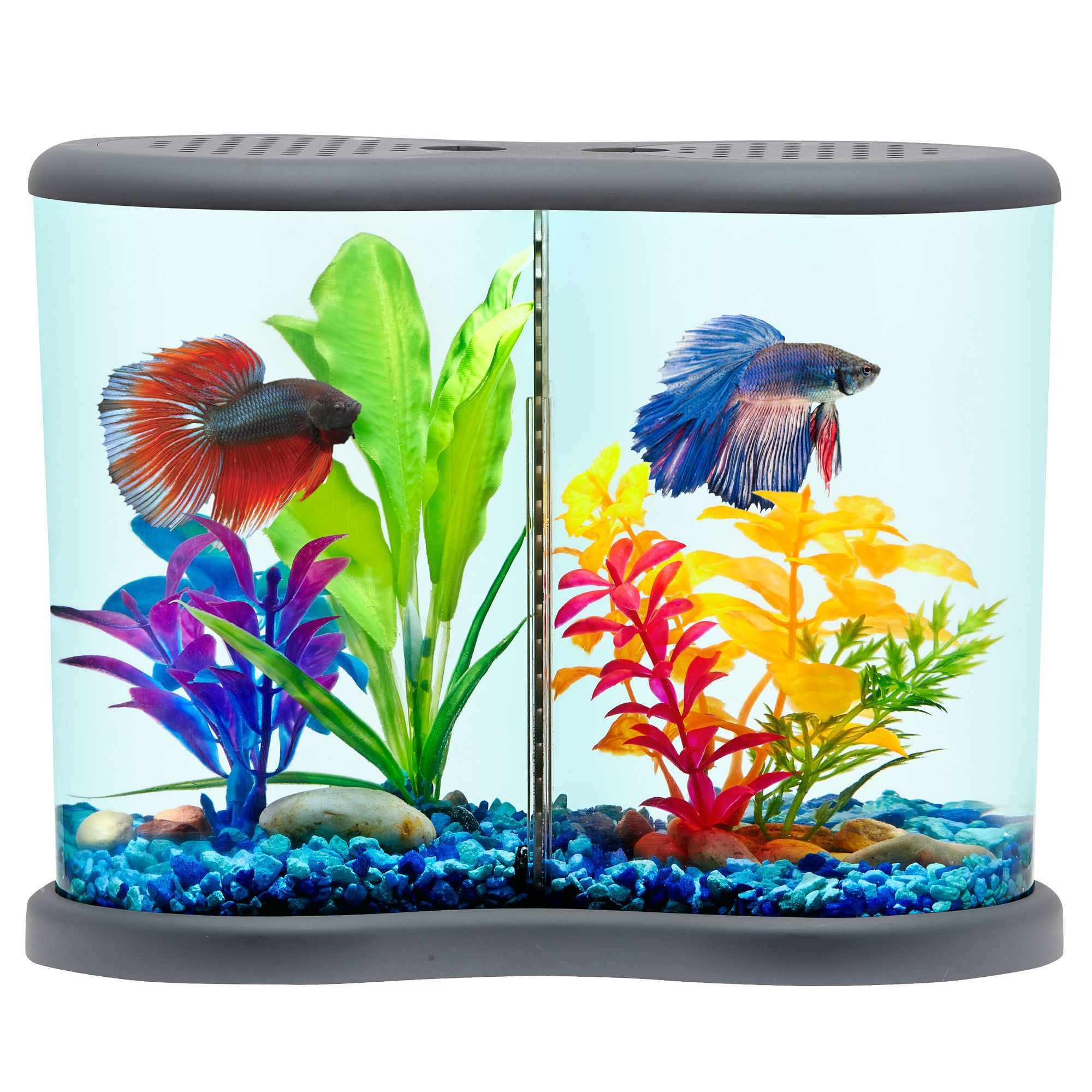 Fish Tanks & Aquariums | PetSmart