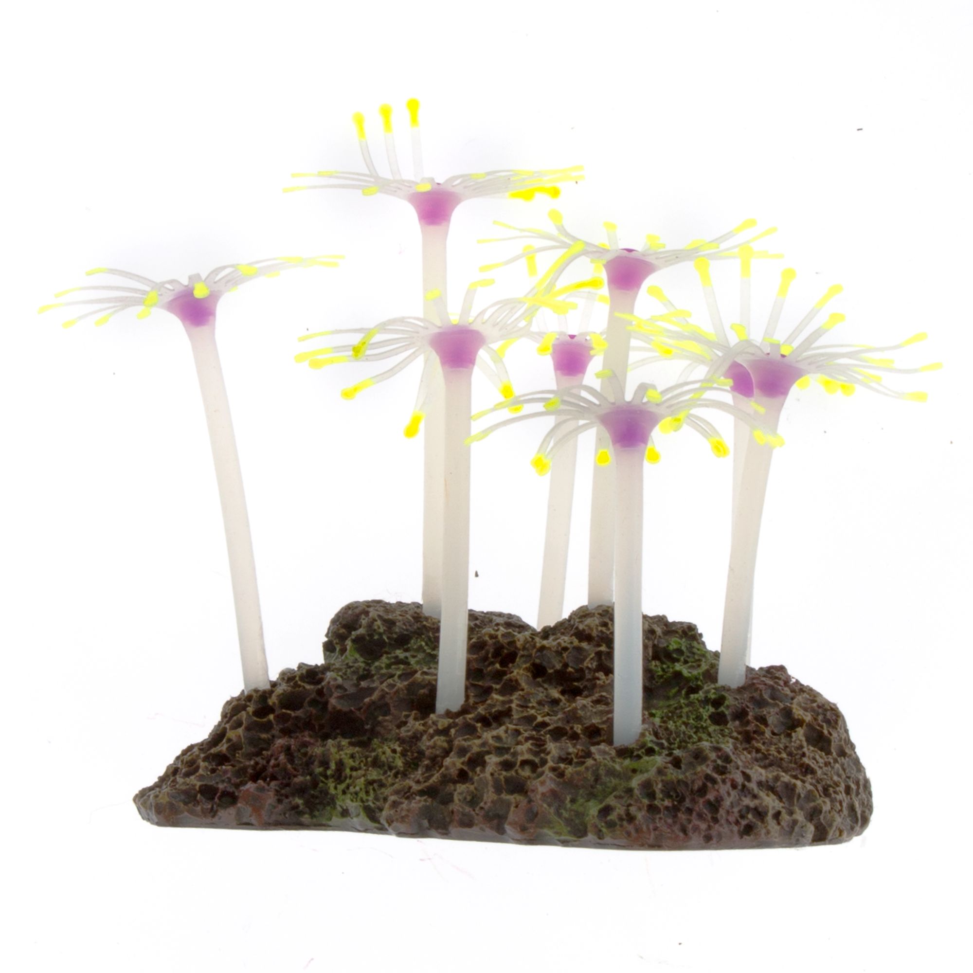 GloFish® Tanks, Lights & Kits for Glow in the Dark Fish | PetSmart