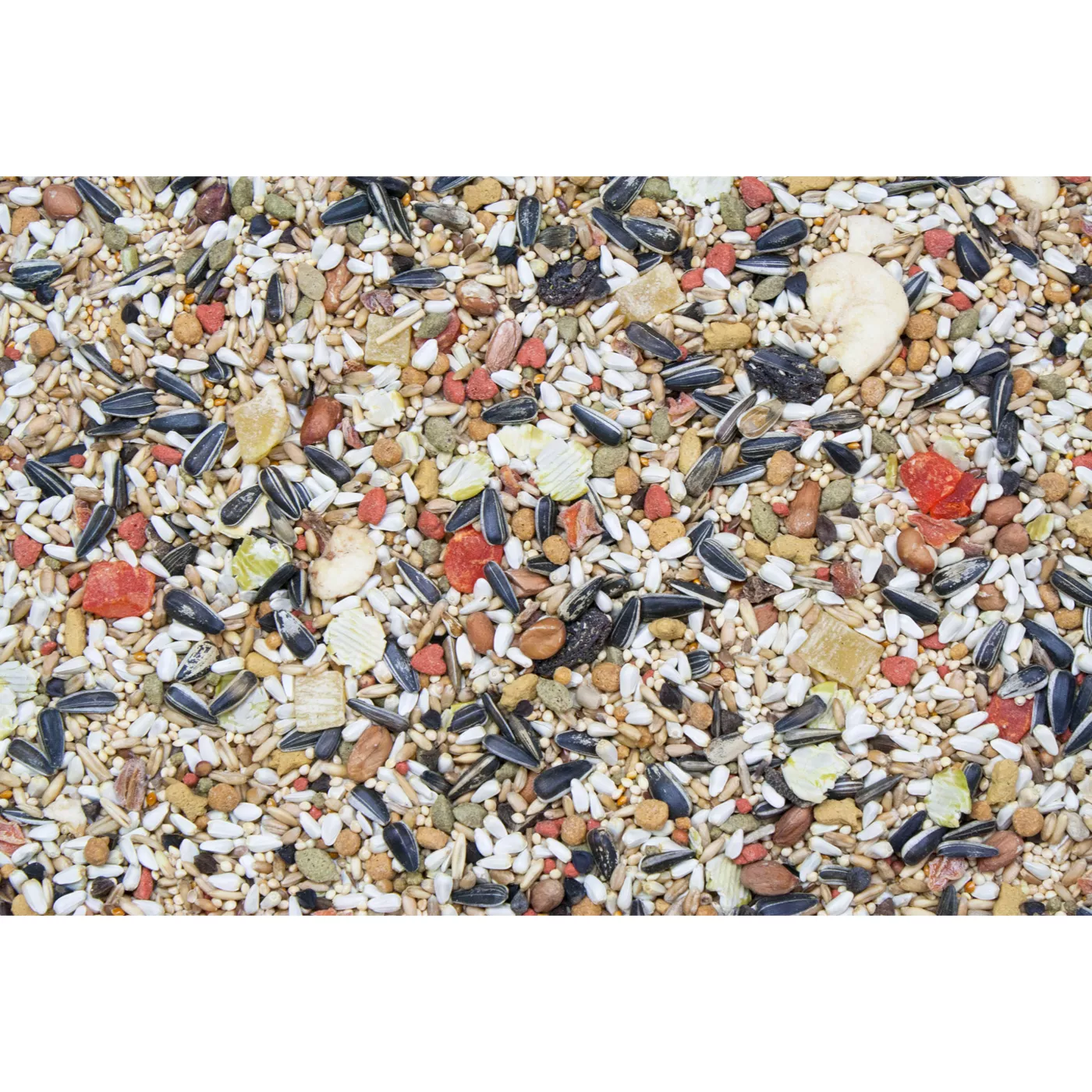 Higgins Vita Seed Conure and Lovebird Food