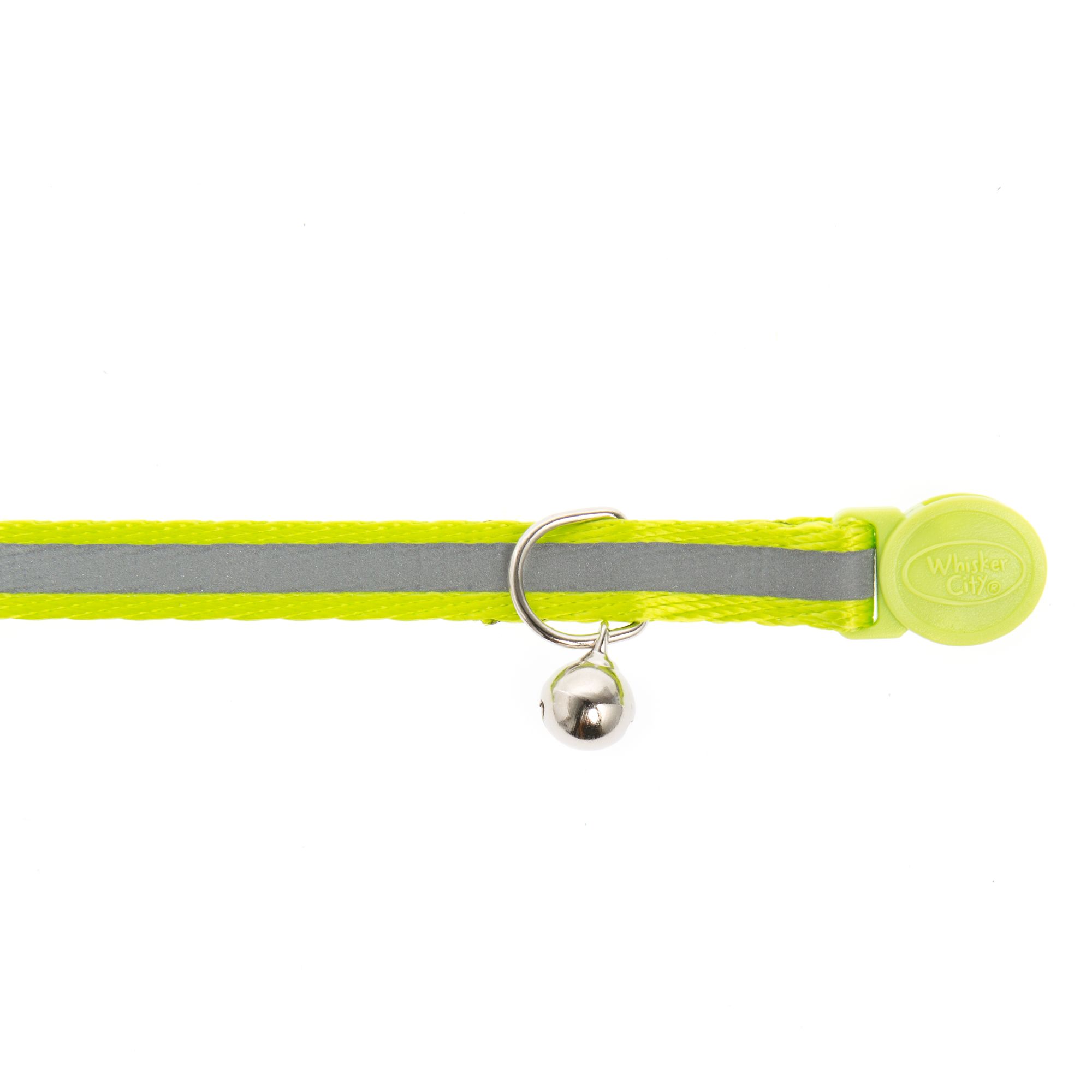 Cat Collars: Cat Harnesses & Leads | PetSmart