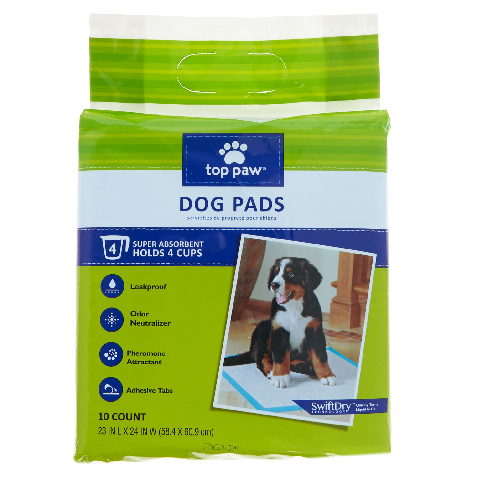 Dog Potty Training: Puppy Pads & Diapers | PetSmart