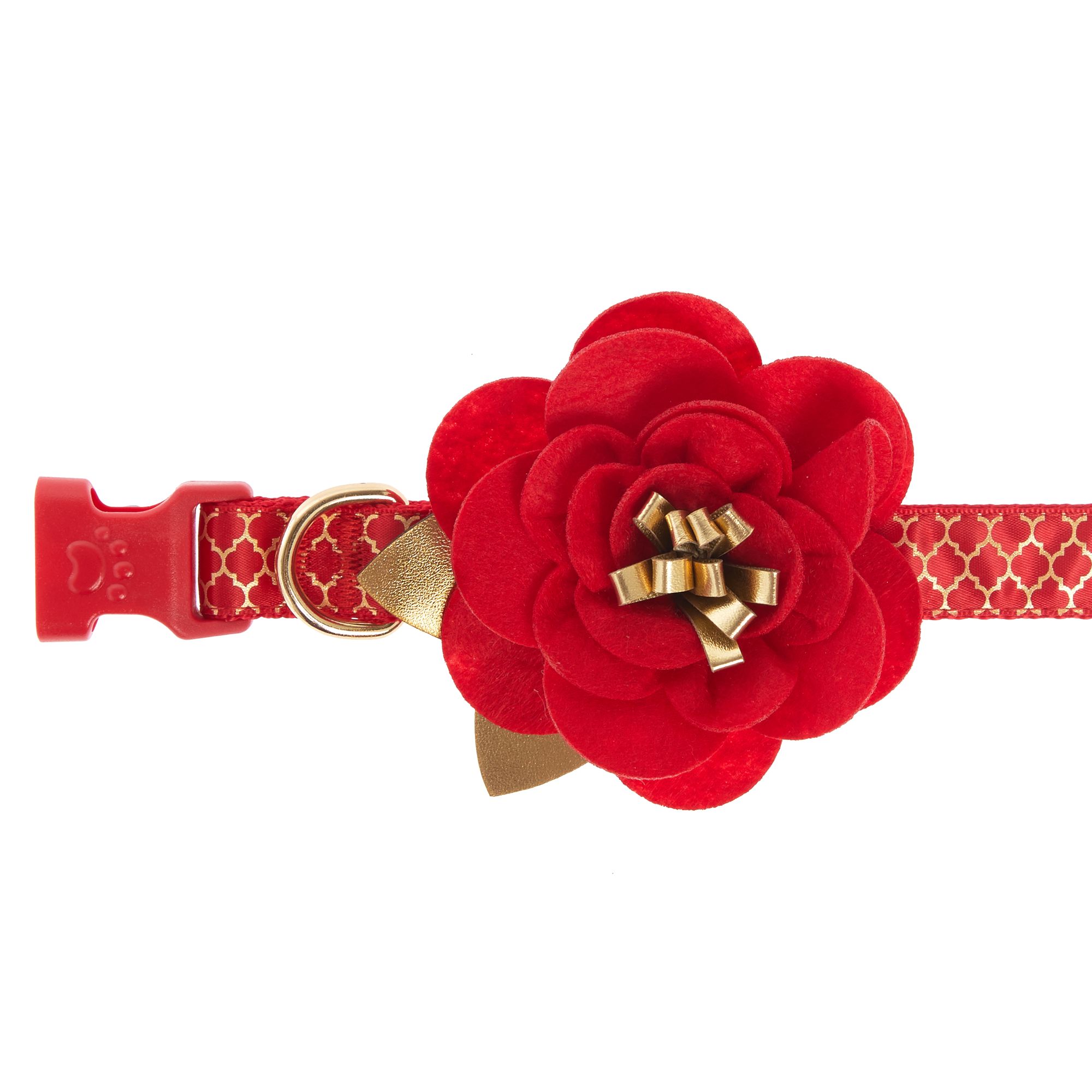 Dog Collars & Leashes | PetSmart