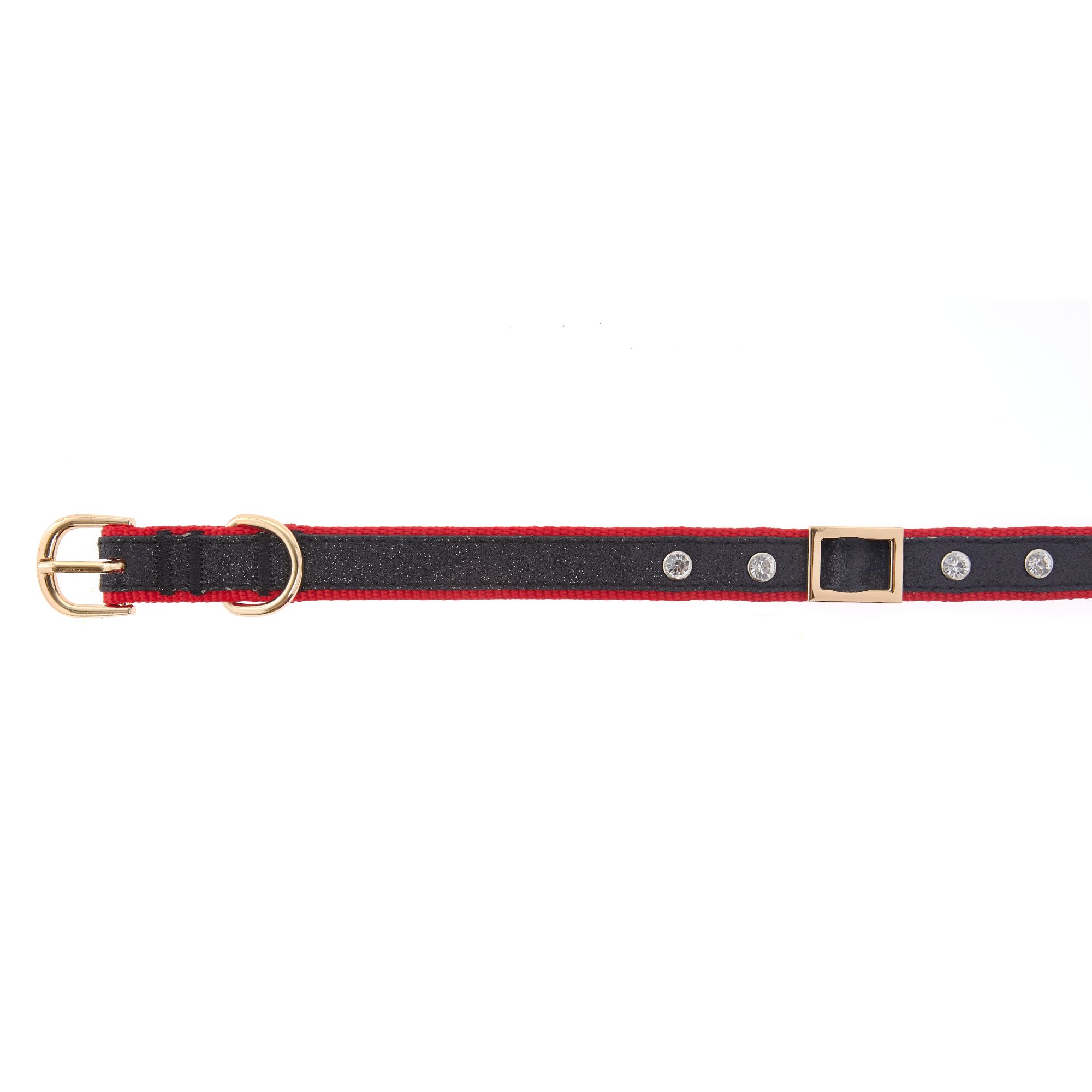 Dog Collars & Leashes | PetSmart