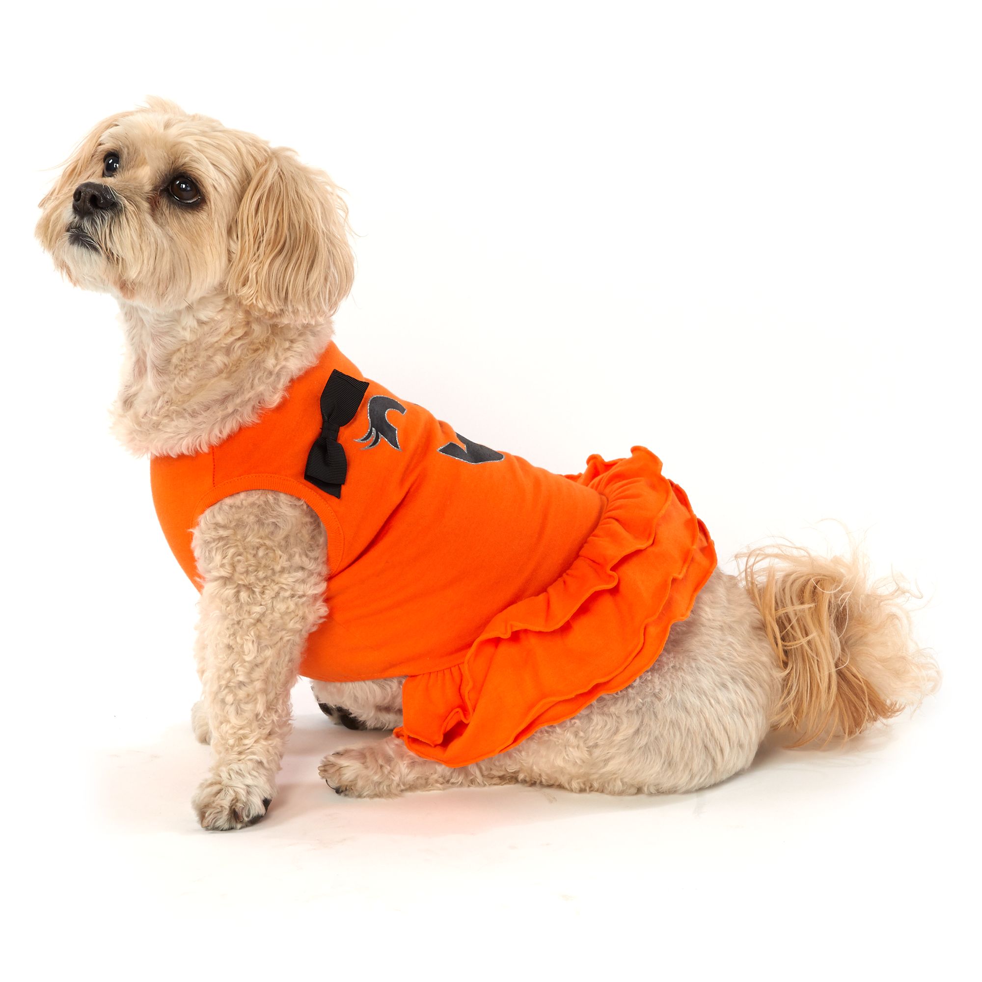 Dog Clothes, Shoes, & Apparel | PetSmart