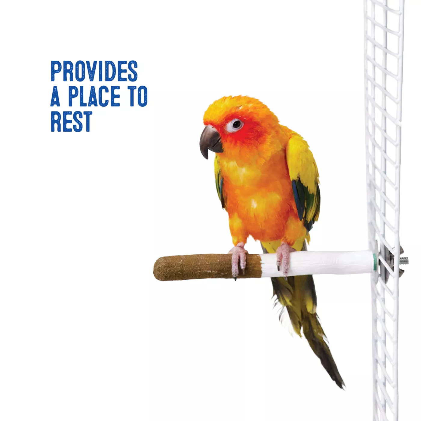All Living Things® Bird Perch & Groomer