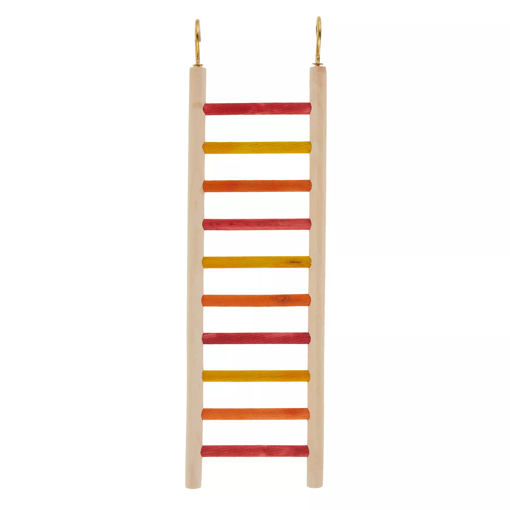 Bird Ladders for Parrots, Parakeets & Cockatiels | PetSmart
