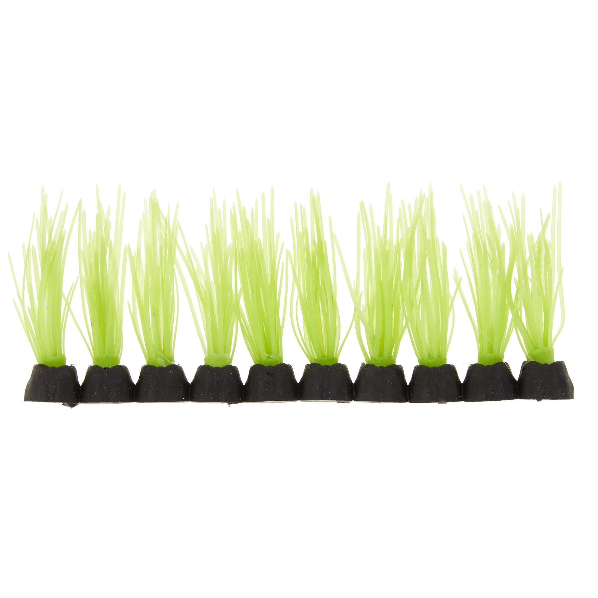 Fish Tank Accessories & Aquarium Décor | PetSmart