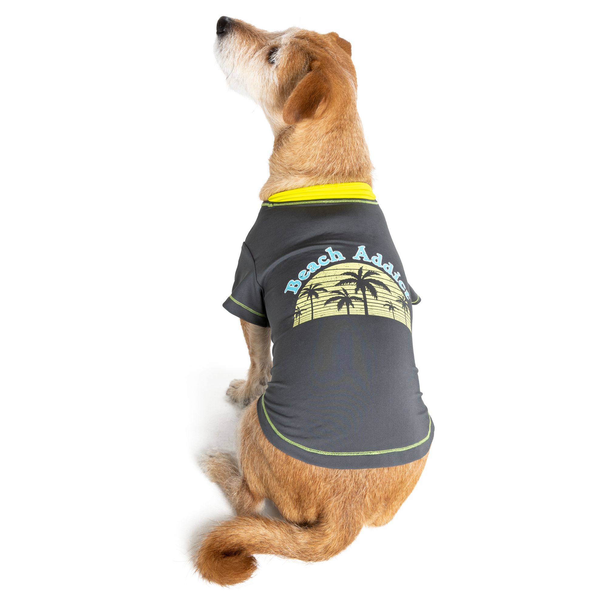 Dog Clothes, Shoes, & Apparel | PetSmart