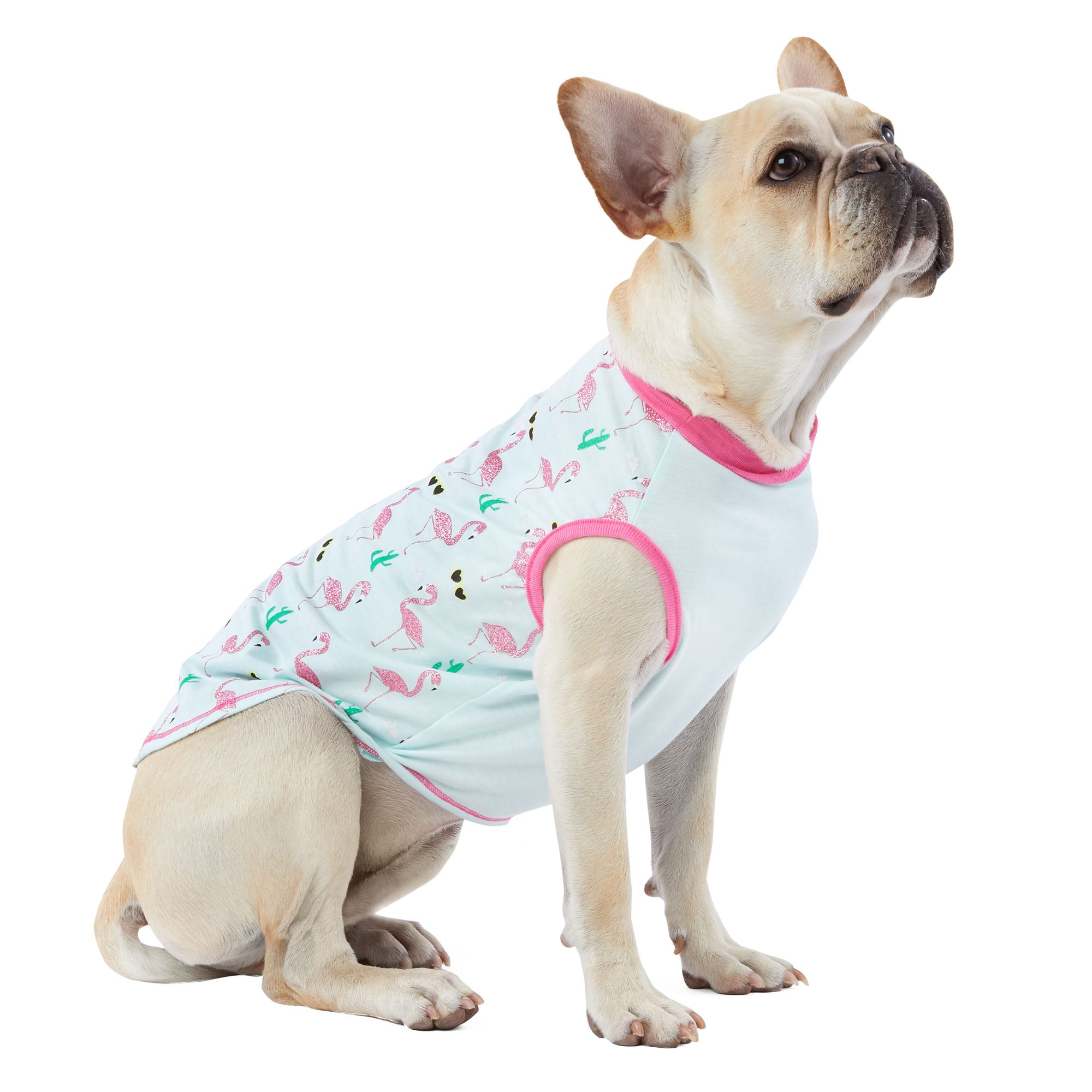 Dog Clothes, Shoes, & Apparel | PetSmart
