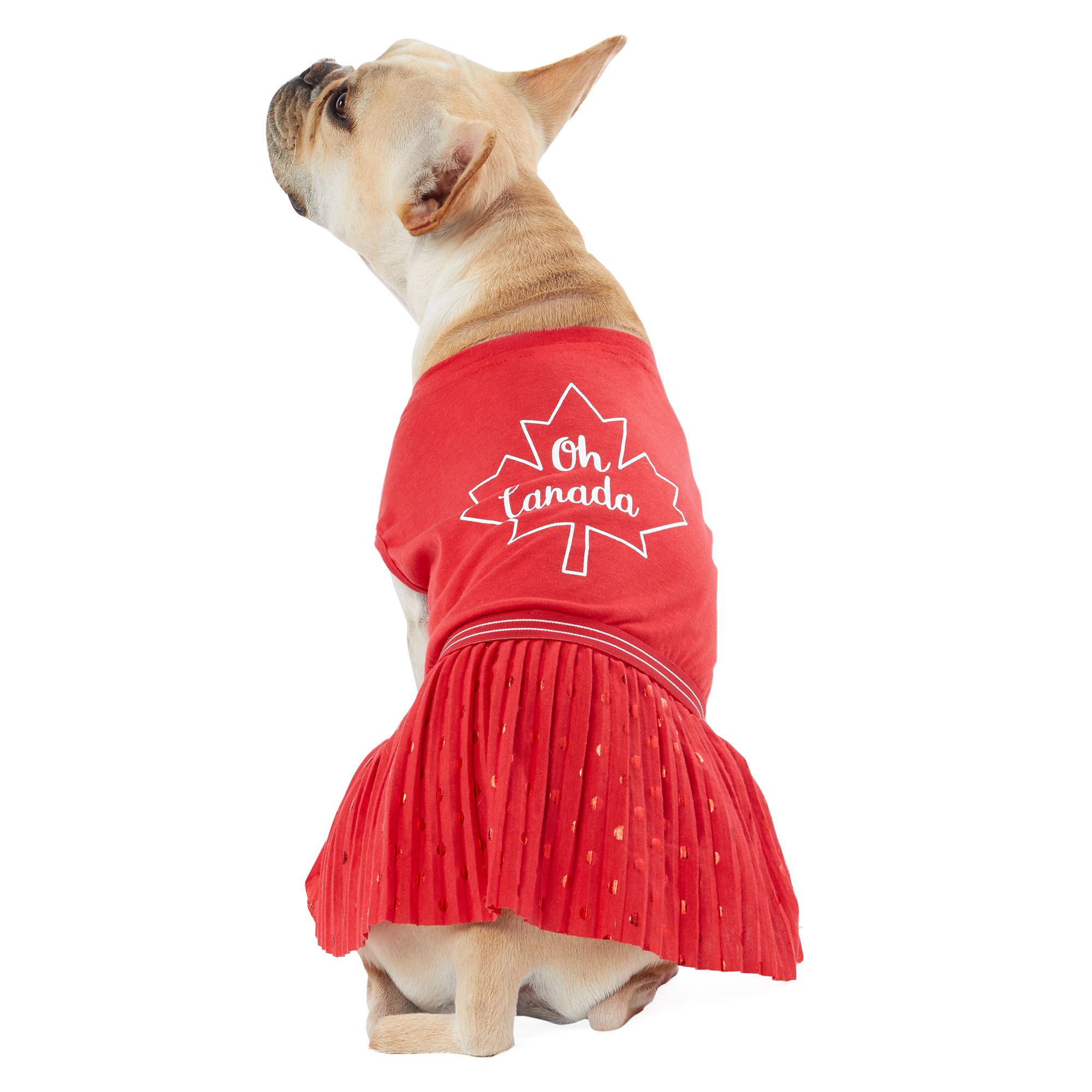 Dog Clothes, Shoes, & Apparel | PetSmart