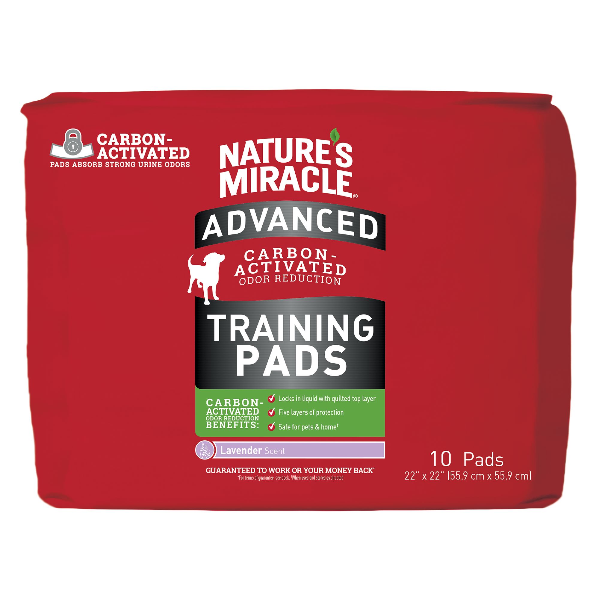 Dog Diapers, Puppy Pads & Potty Training | PetSmart