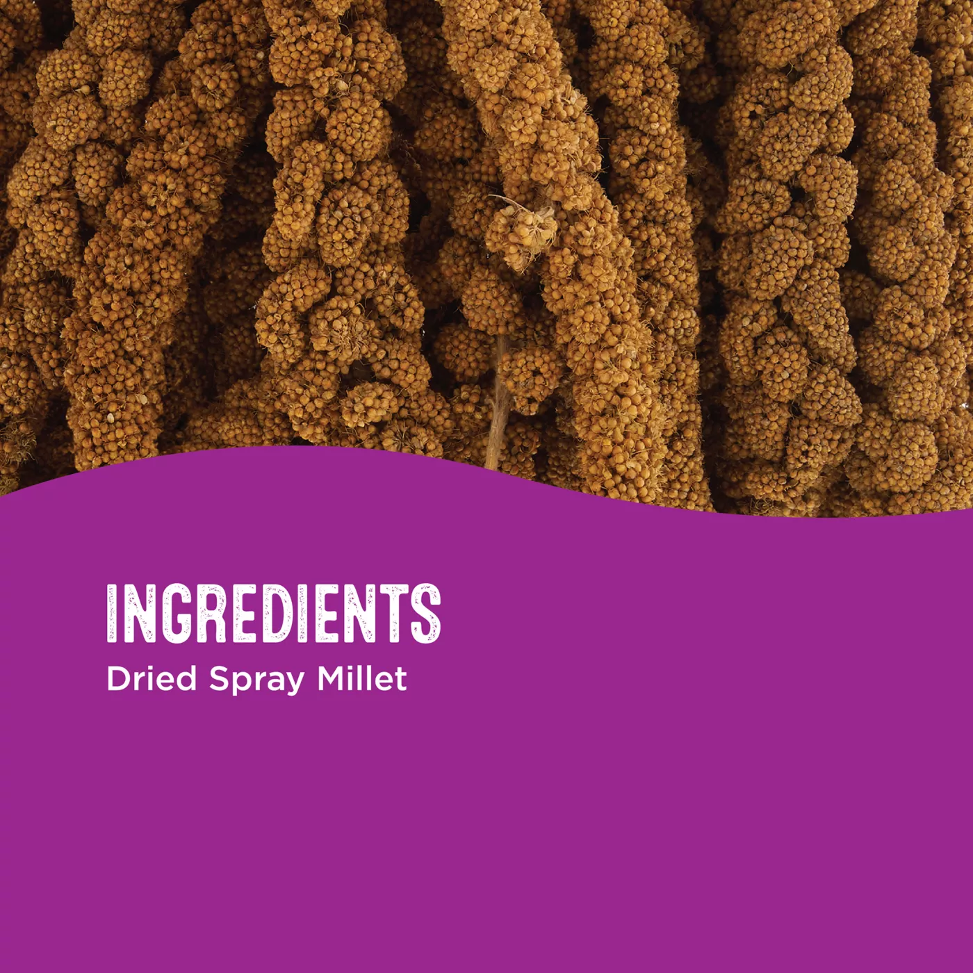 All Living Things® Spray Millet Bird Treat