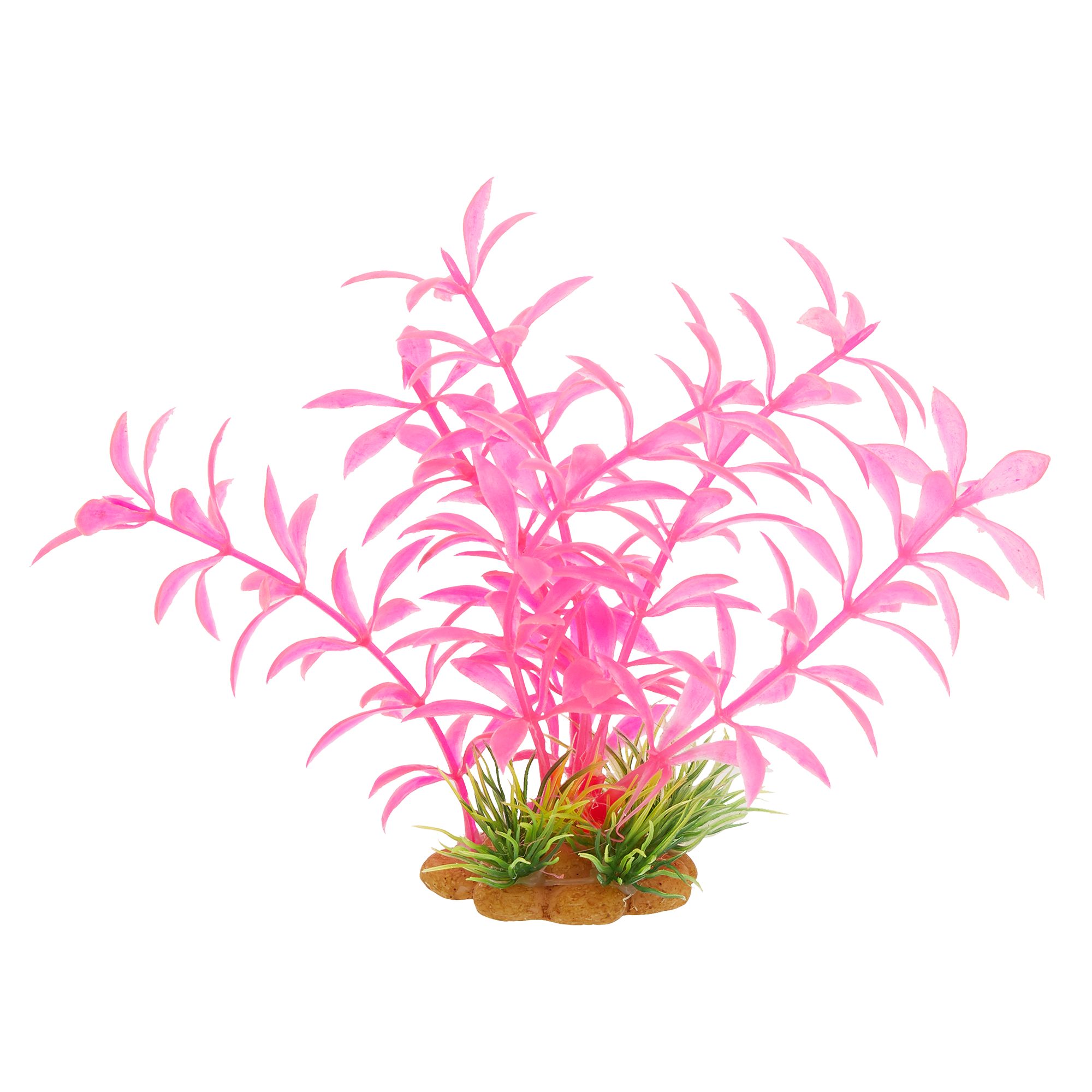 Fish Tank Accessories & Aquarium Décor | PetSmart