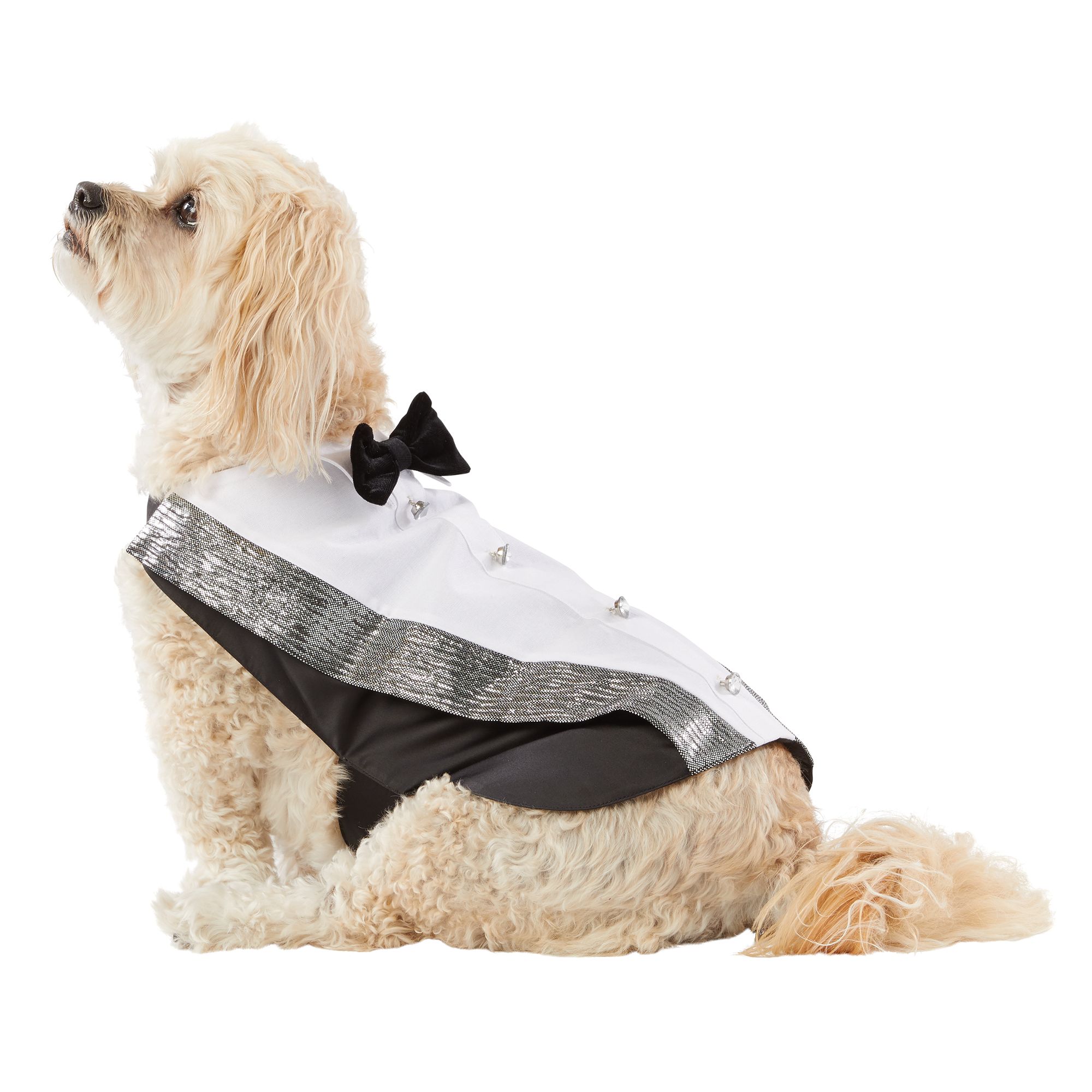 Dog T-Shirts & Tank Tops | PetSmart