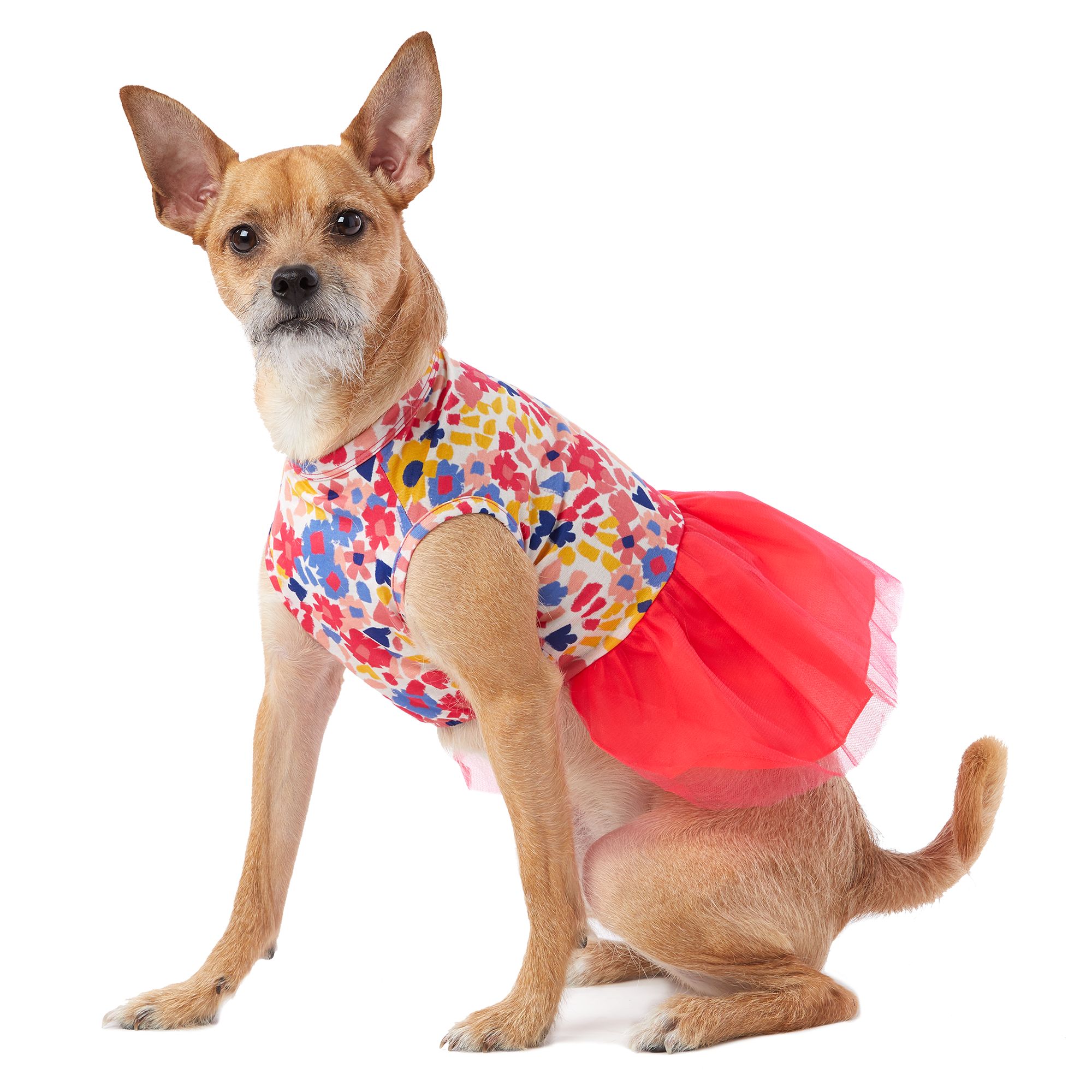 Dog Dresses, Skirts & Jumpers | PetSmart