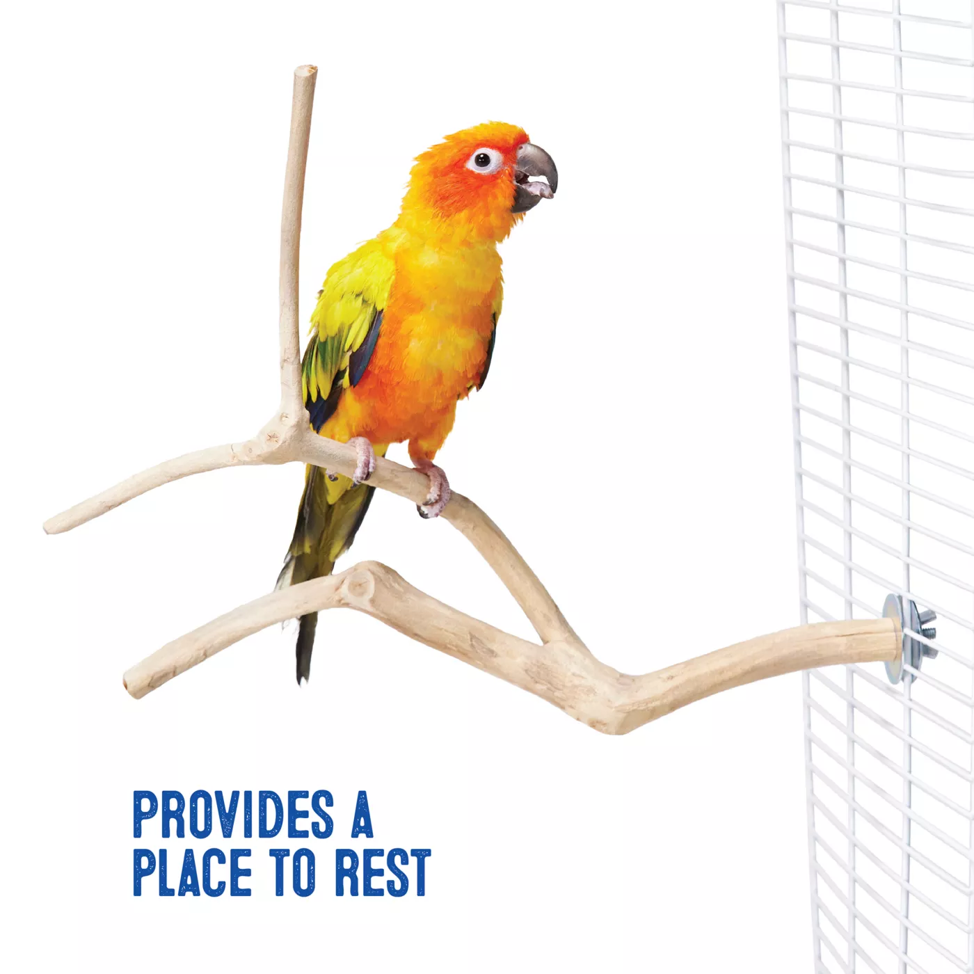 All Living Things® Java Wood Multi Bird Perch
