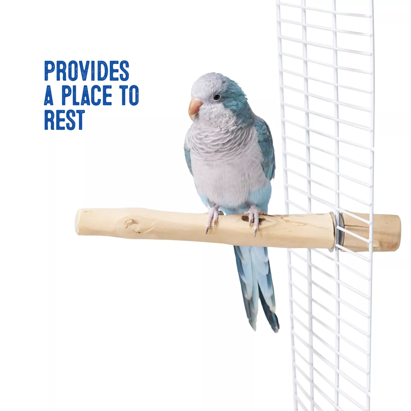 All Living Things® Java Wood Bird Perch