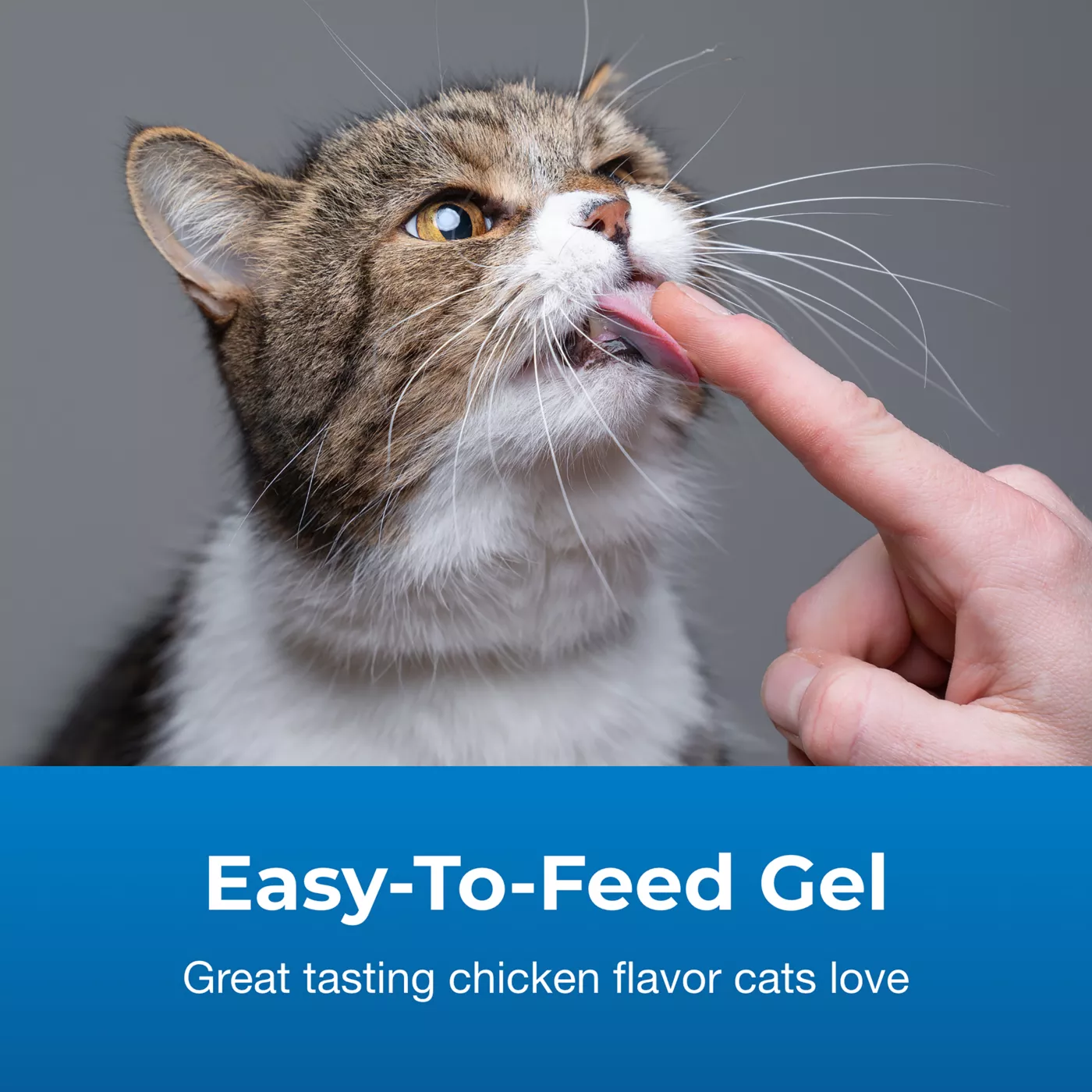 PetAg® High Calorie Gel Supplement for Cats