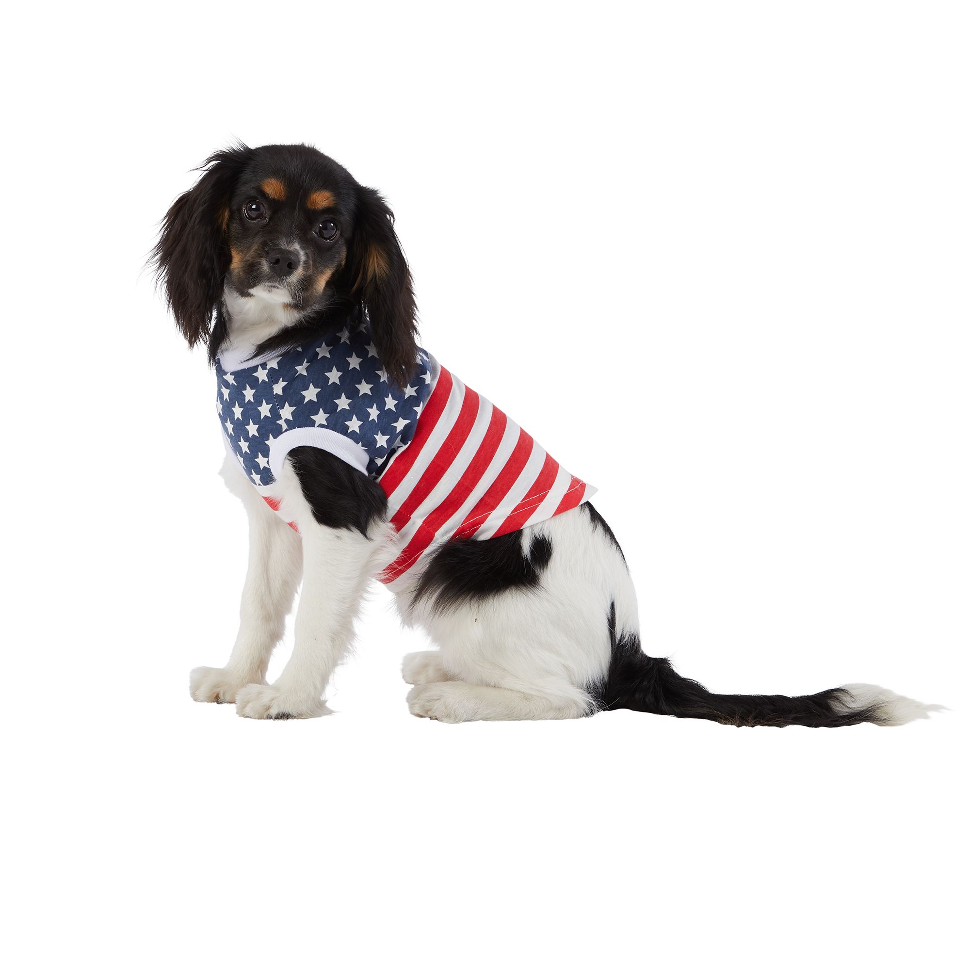 Featured Shops Same Day Delivery | PetSmart