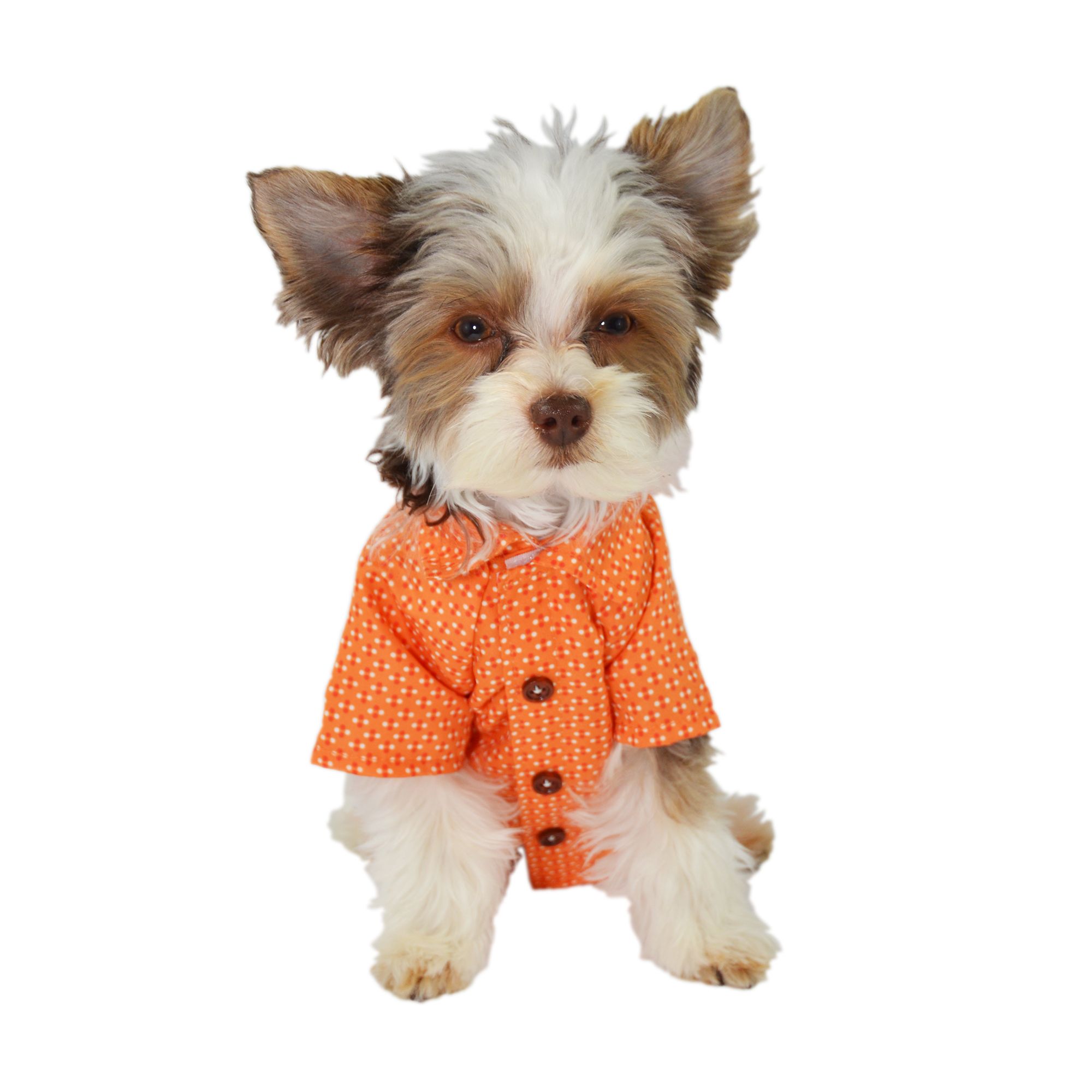 Dog T-Shirts & Tank Tops | PetSmart