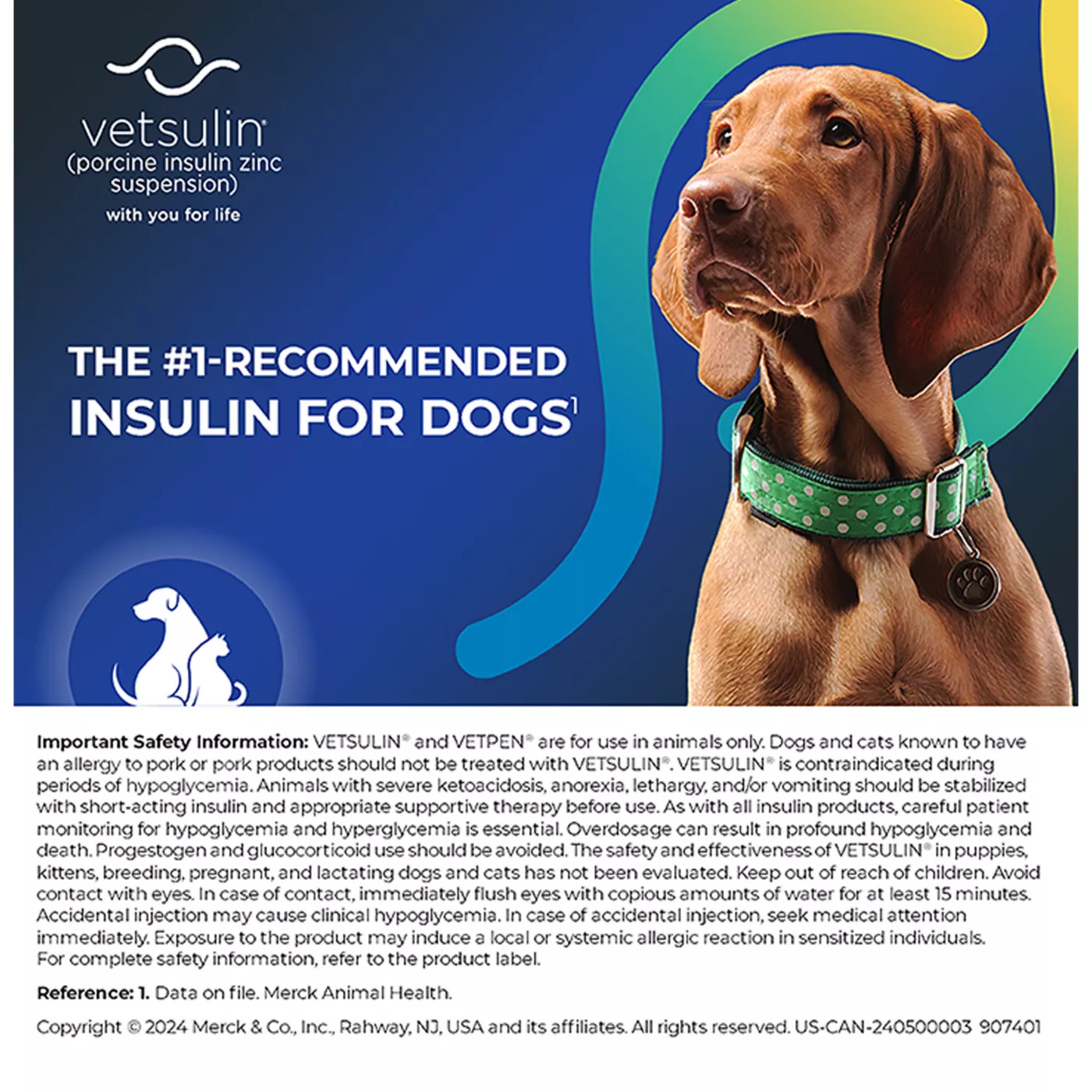 Vetsulin Insulin for Dogs and Cats 10 ml Vial