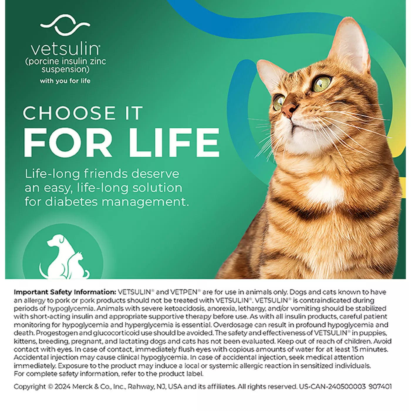 Vetsulin Insulin for Dogs and Cats 10 ml Vial