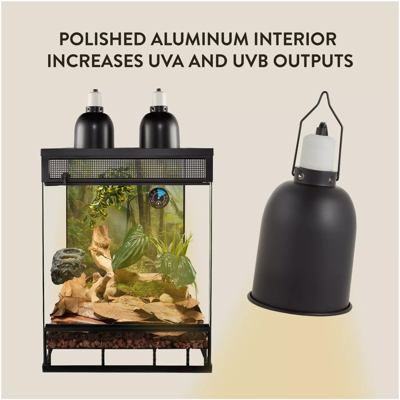 Thrive Desert Basking Set