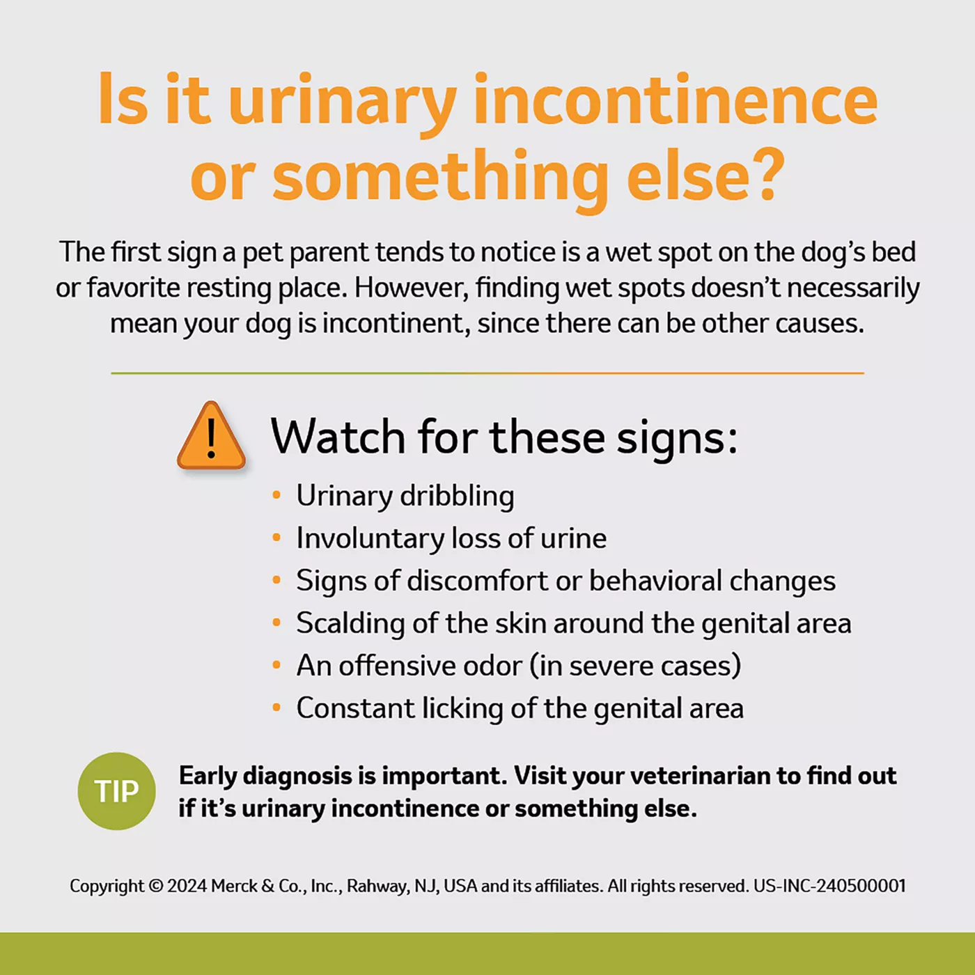 Incurin (Estriol) 1 mg, 30 Tablets