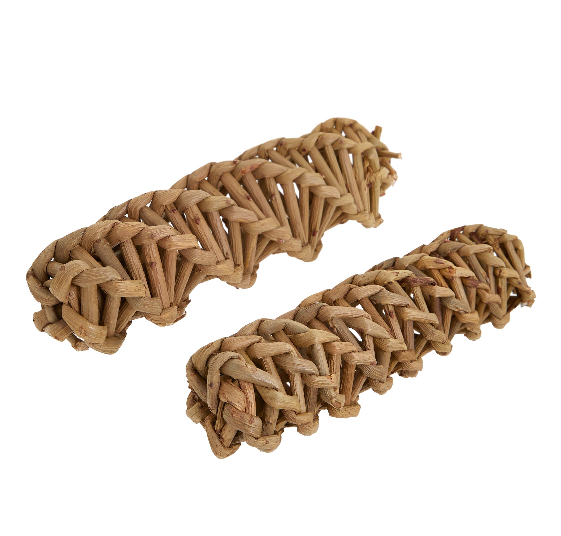 Pet Supplies & Products for Rabbits | PetSmart