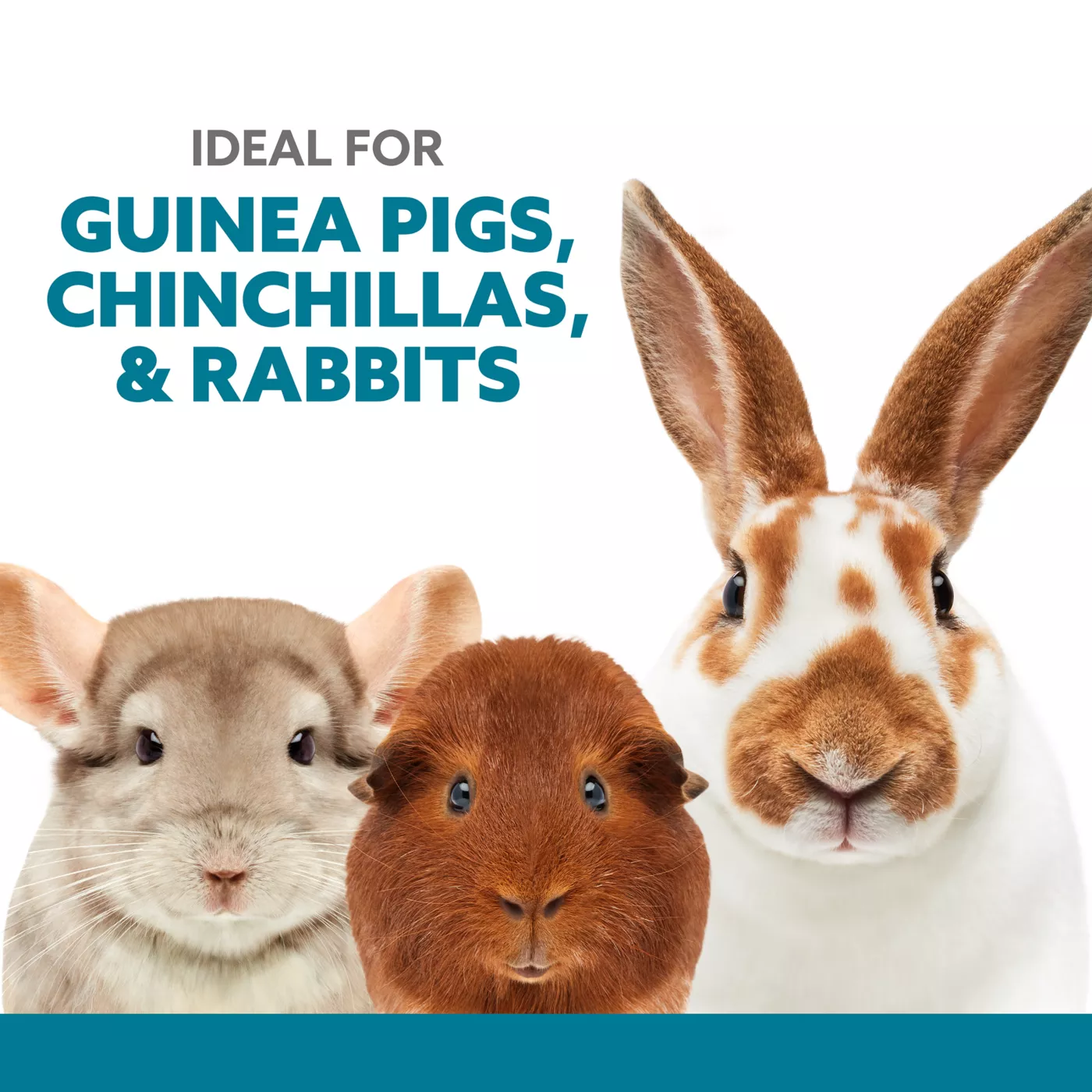 Full Cheeks™ Small Pet Ceramic Hay & Pellet Feeder