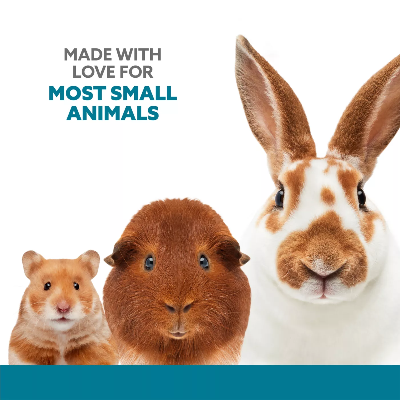 Full Cheeks™ Small Pet Timothy Hay & Wood - Treat & Chew