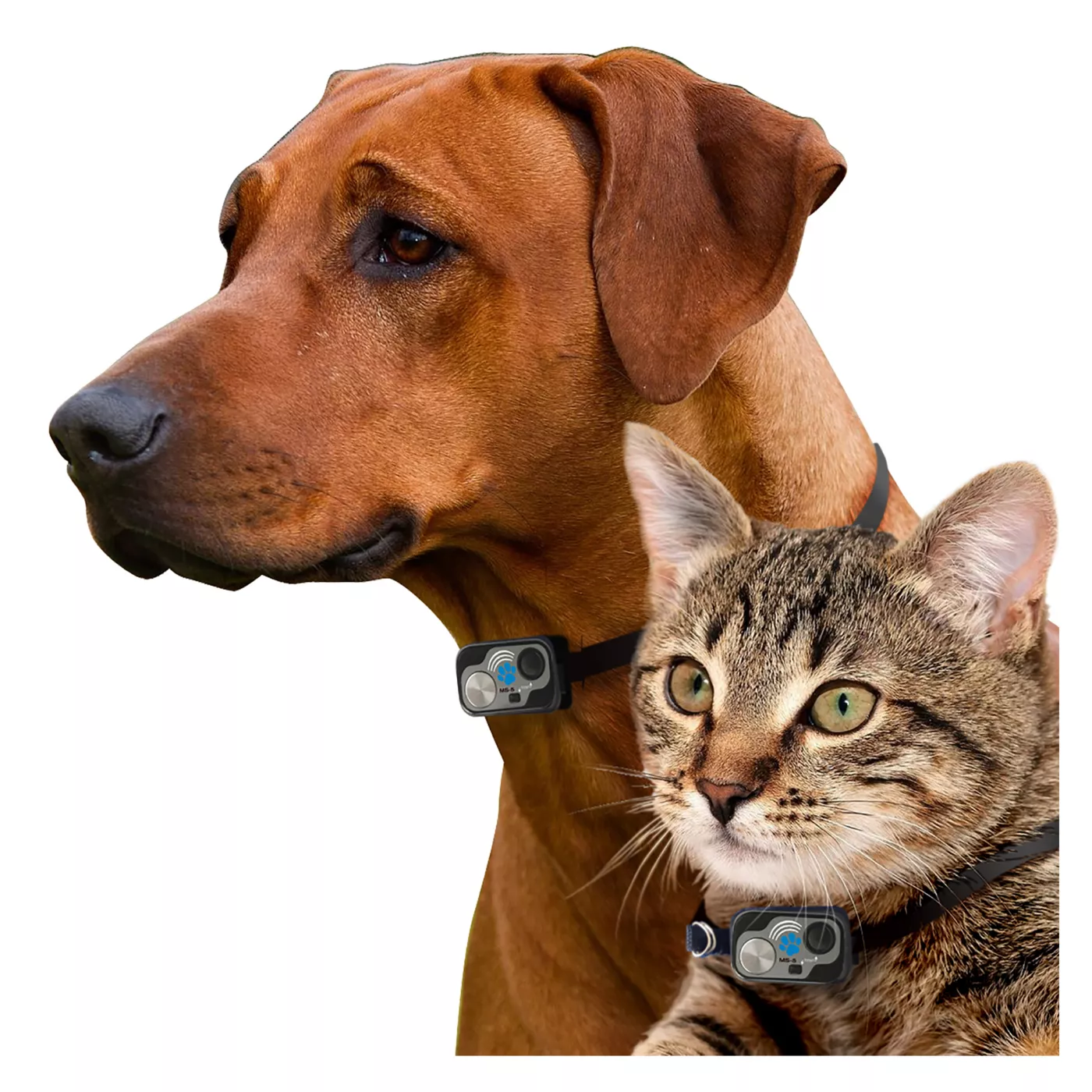 High Tech Pet® WiFi Enabled Smartphone Controlled Automatic Dog & Cat Door